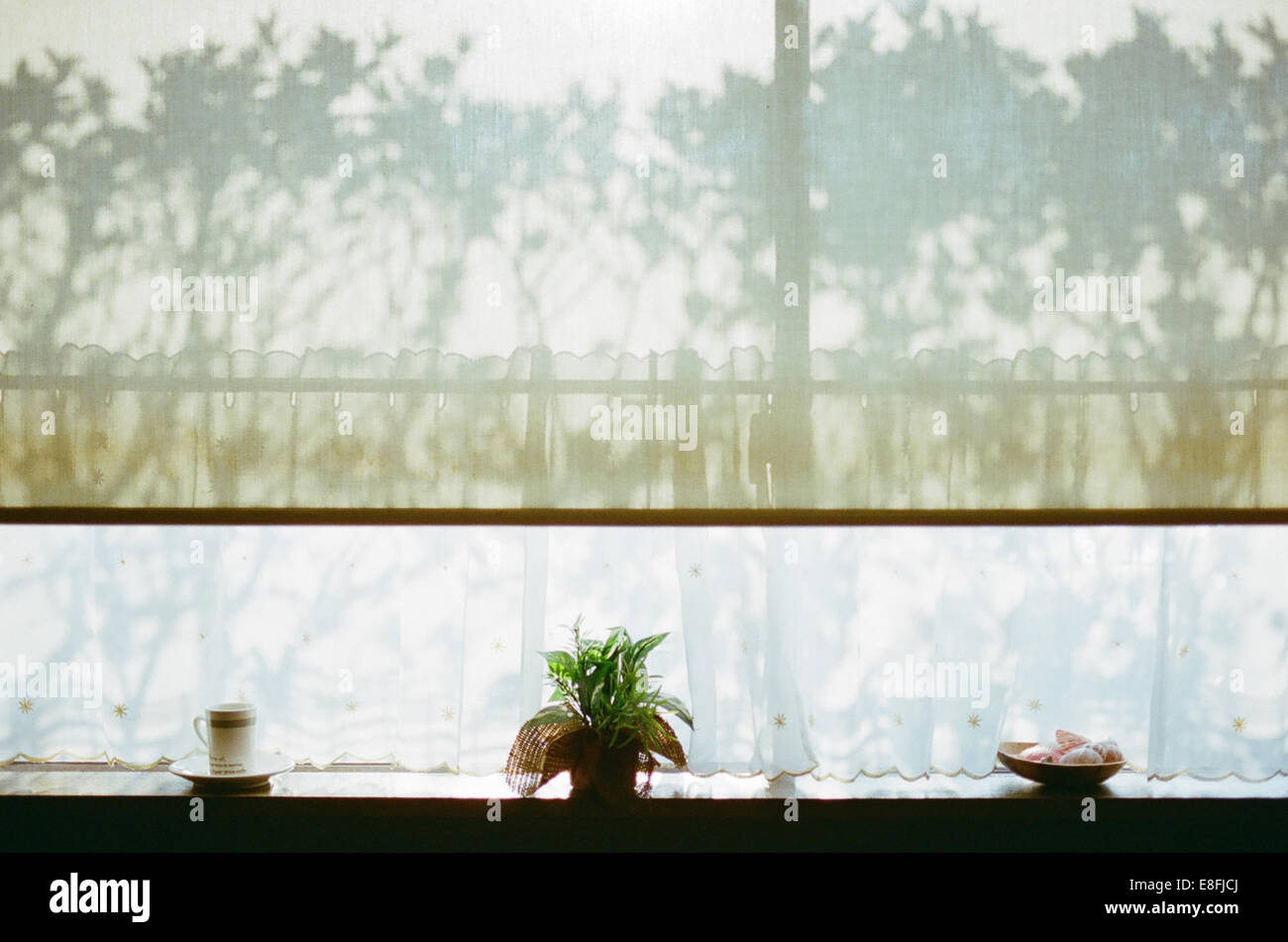 Still life window sill hi-res stock photography and images - Alamy