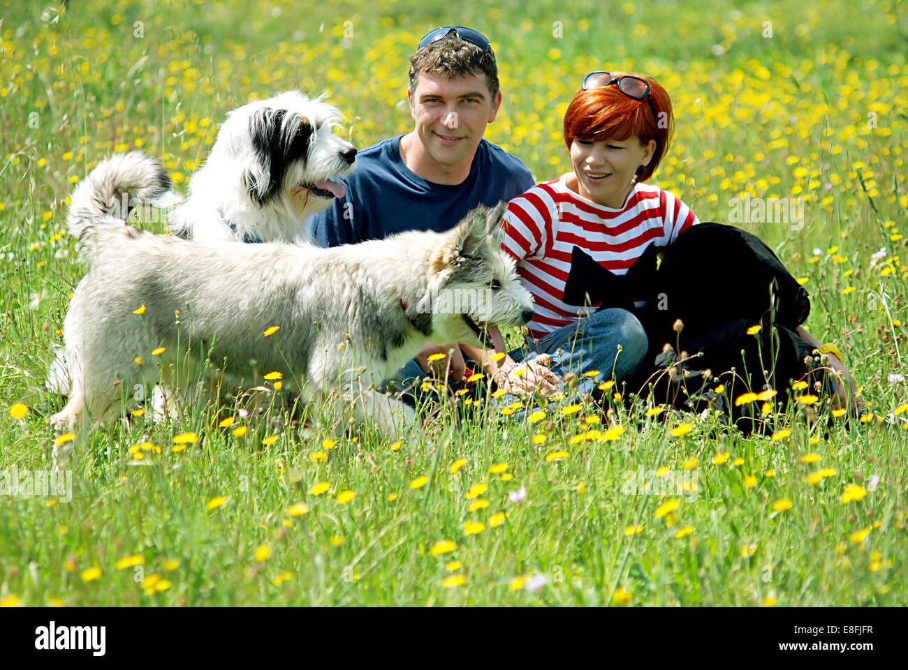 Two Dogs Sitting High Resolution Stock Photography and Images - Alamy