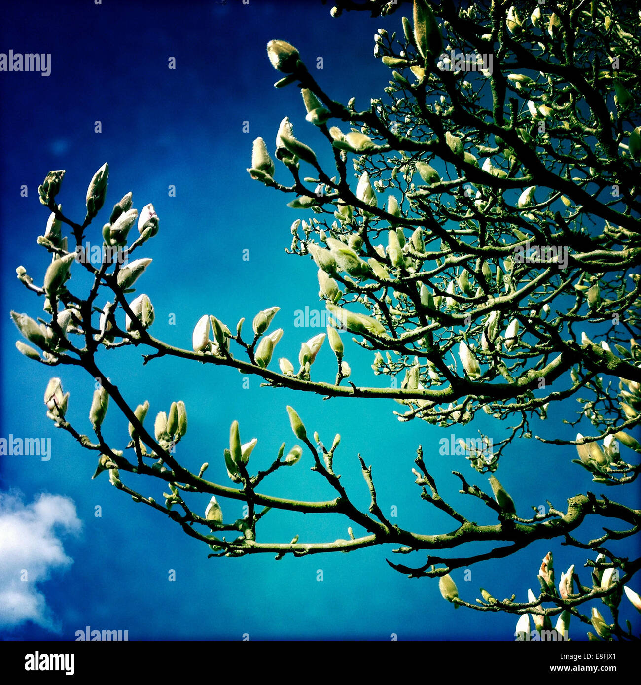 Hampshire uk spring hi-res stock photography and images - Alamy