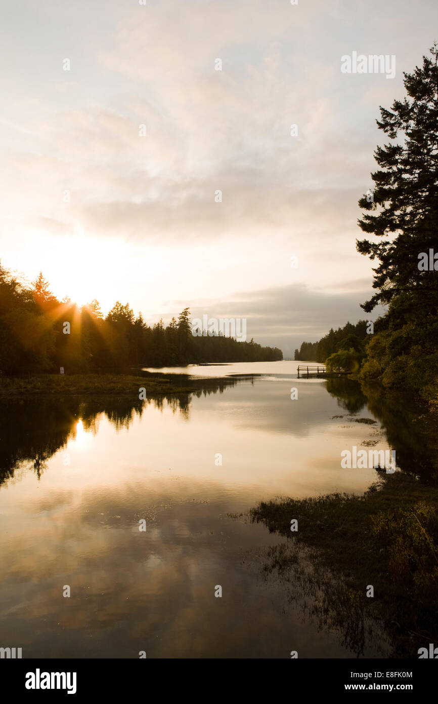 Canada, British Columbia, Salt Spring Island, Salt water marsh Stock ...