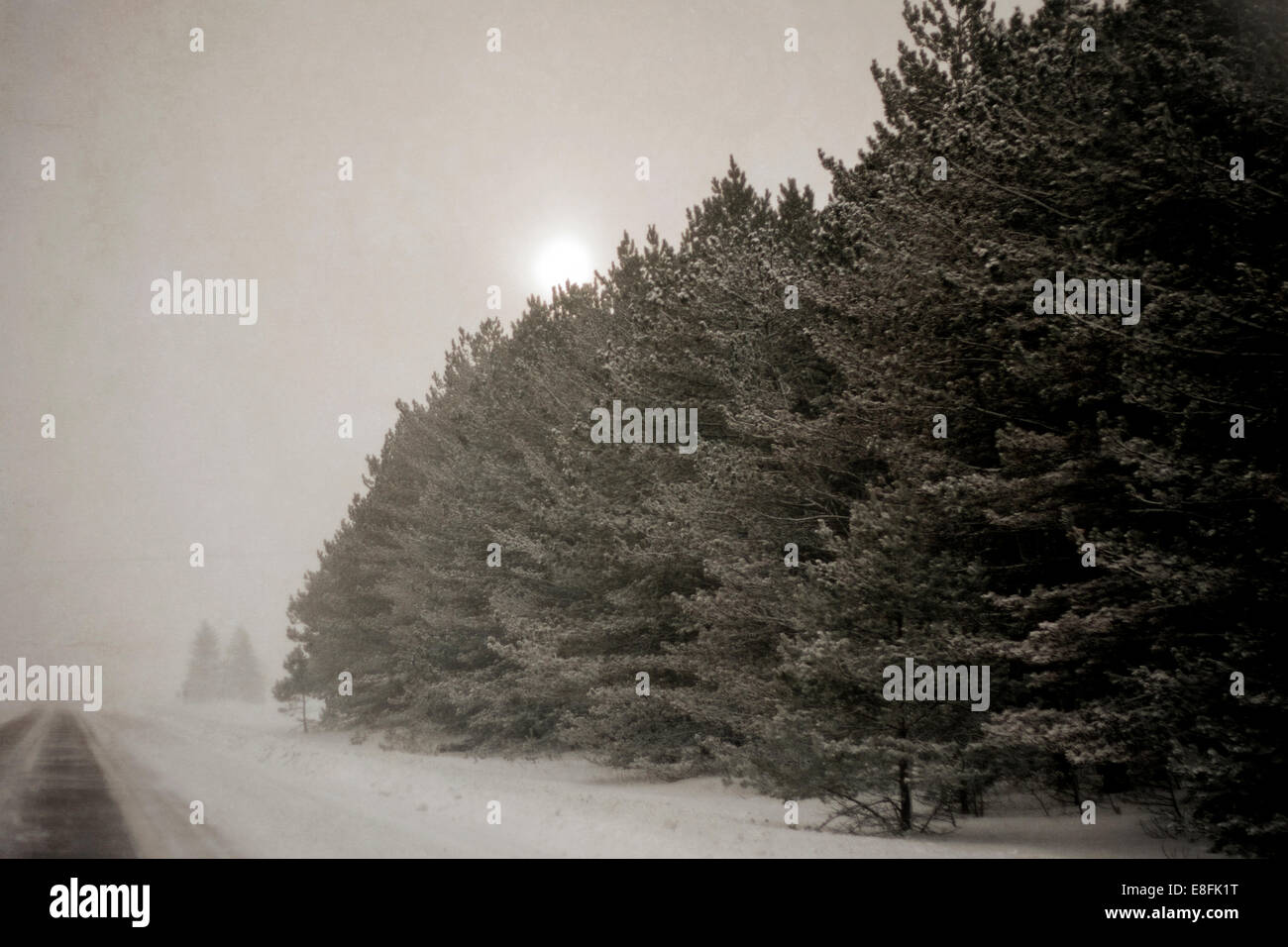 USA, Michigan, Snowstorm Stock Photo - Alamy