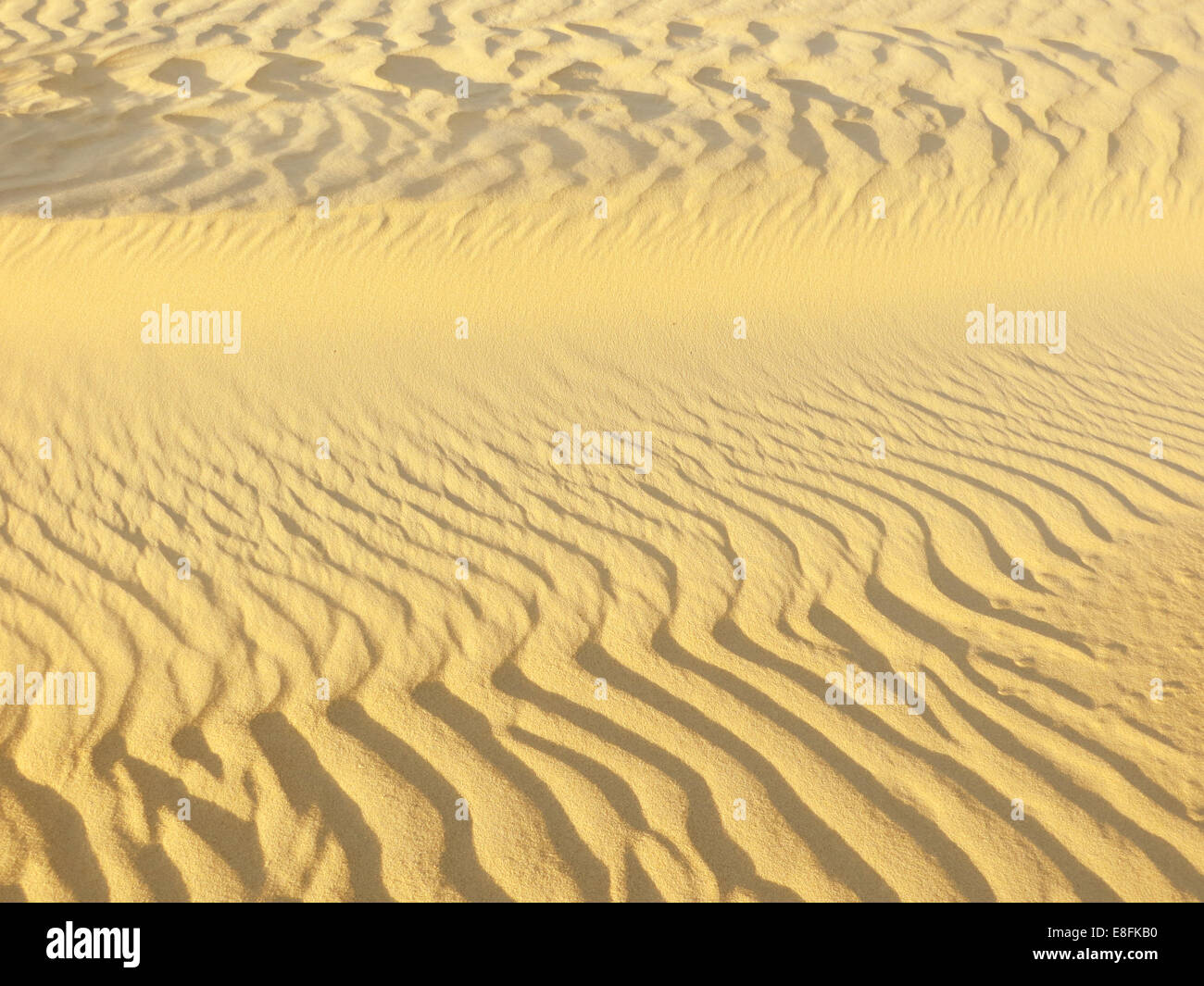 Sand ripples hi-res stock photography and images - Alamy