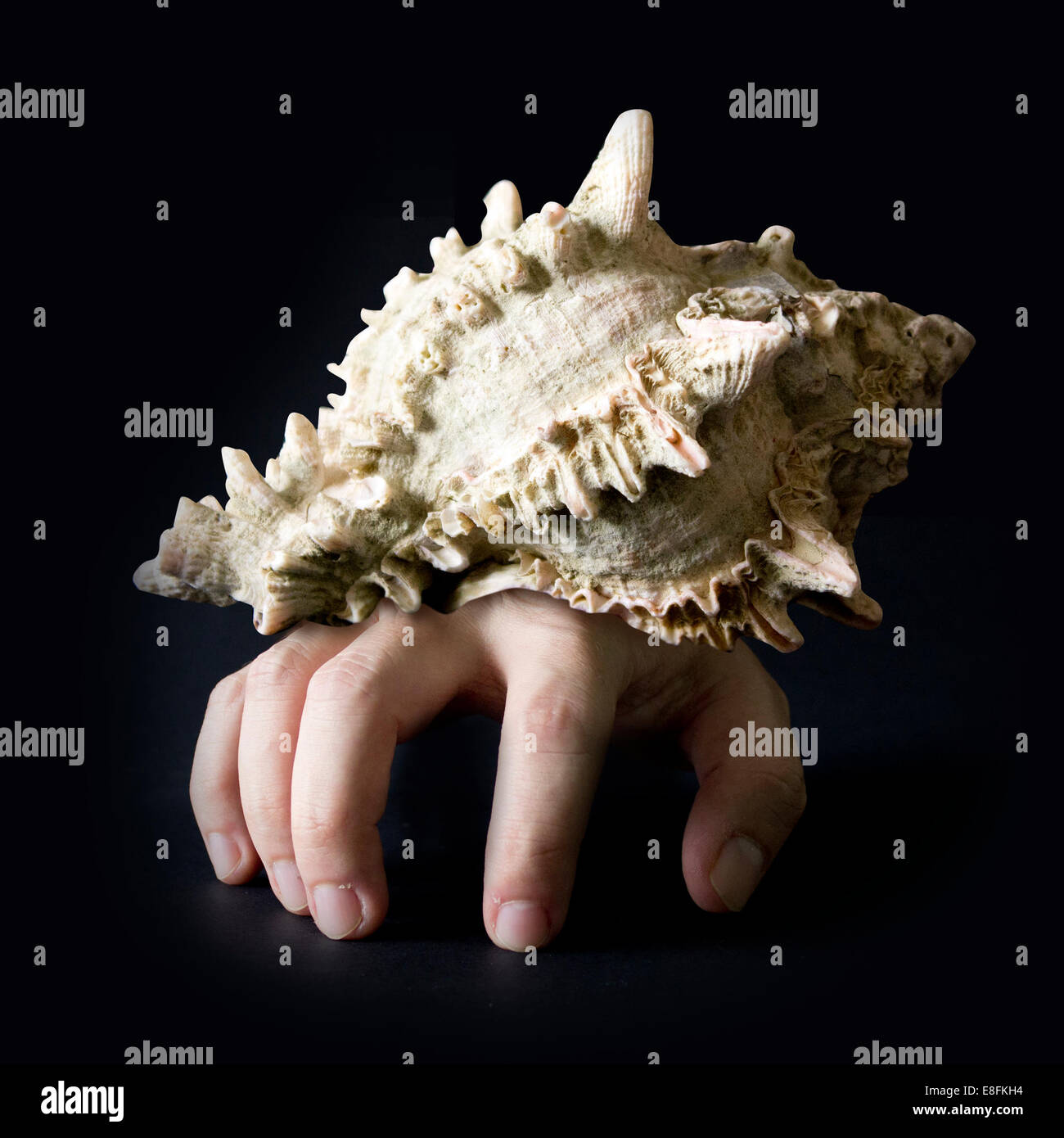 Conceptual Hermit shell with a Shell Stock Photo - Alamy