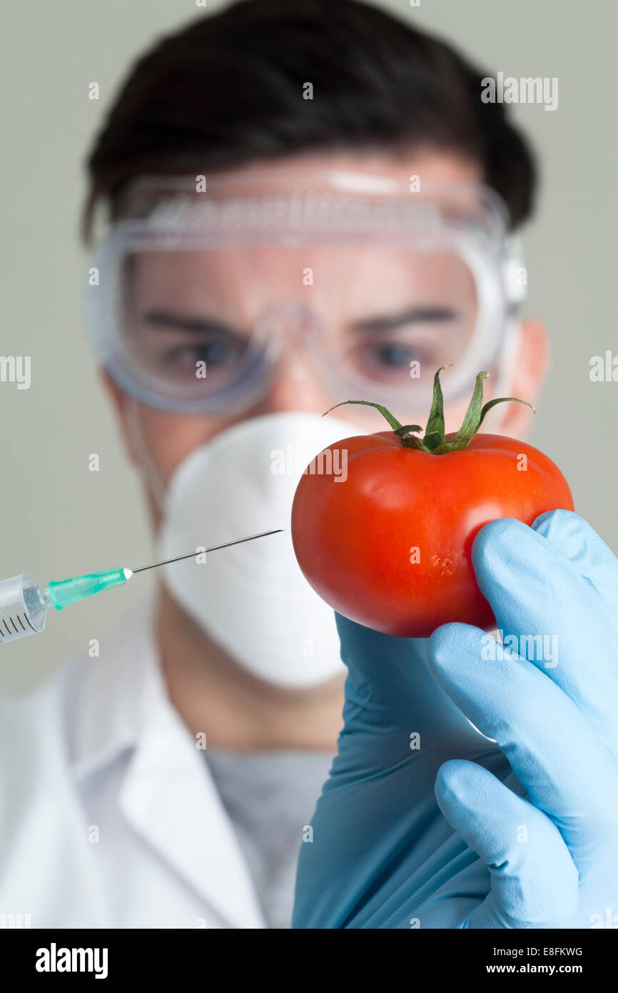 Scientist injecting a tomato Stock Photo - Alamy