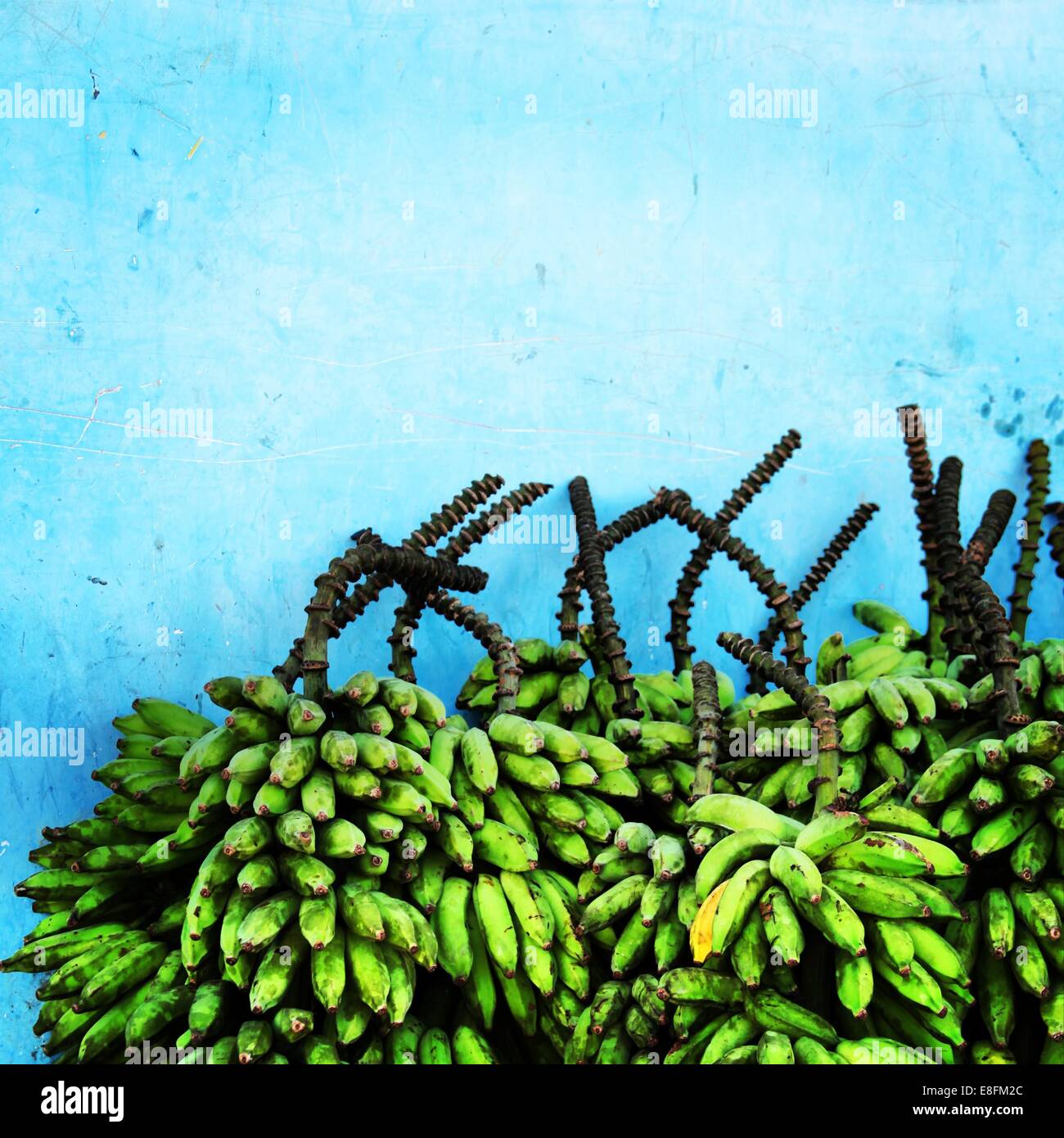 Brazil, Amazonas, Stack of bananas in front of blue wall Stock Photo ...