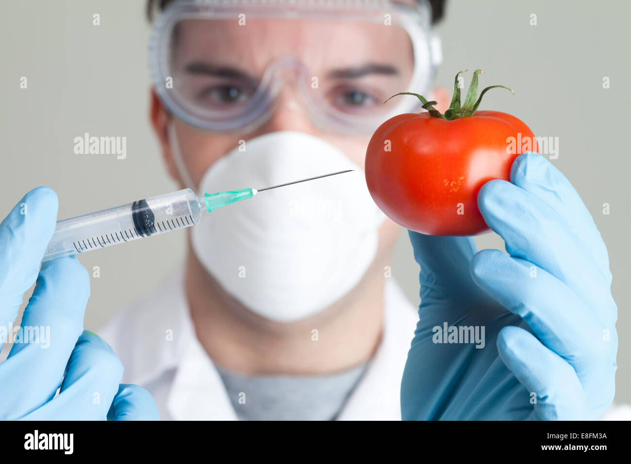 Scientist Injecting A Tomato Stock Photo - Alamy