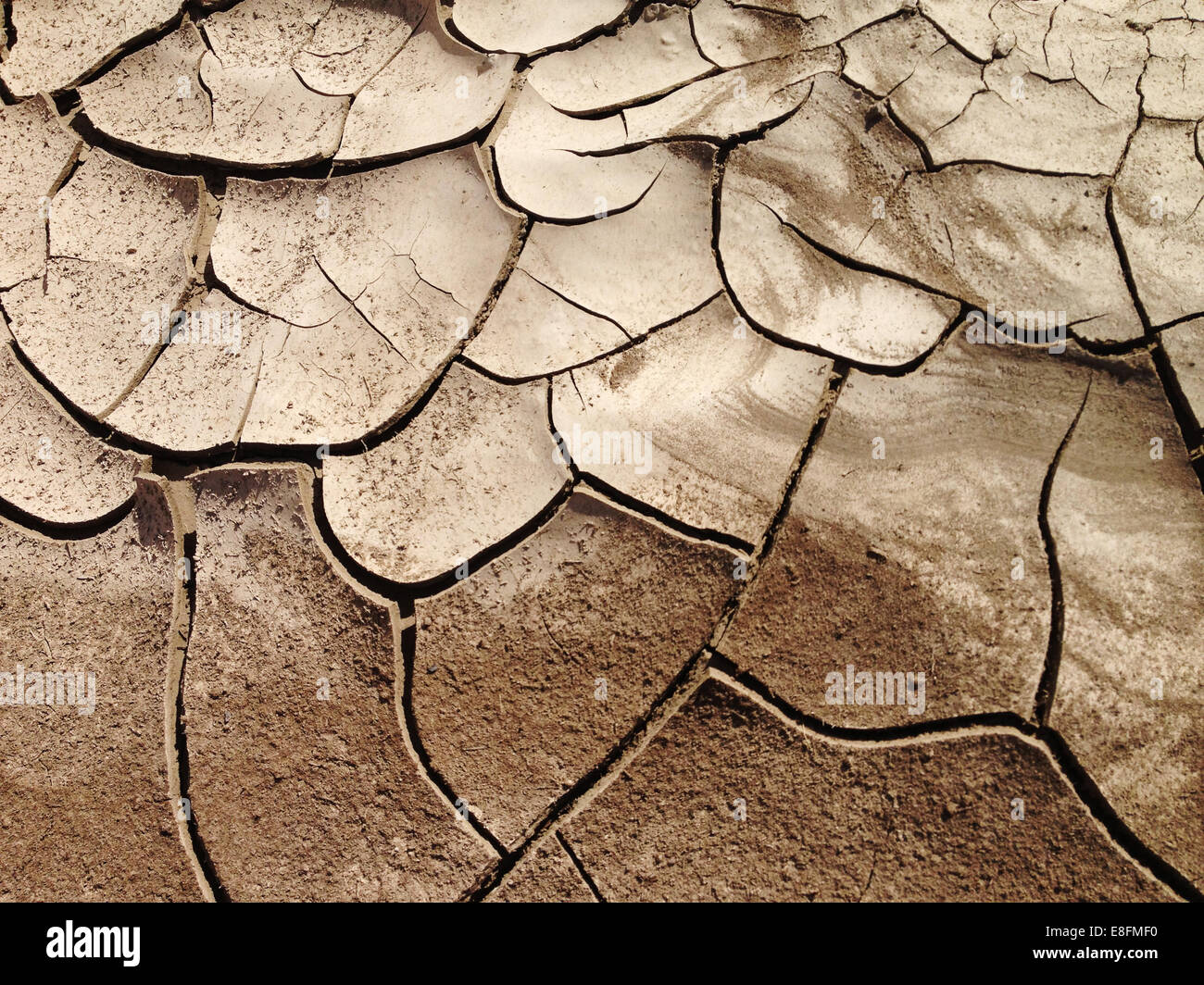 USA, Nevada, Cracked earth, Dried out land in drought Stock Photo - Alamy