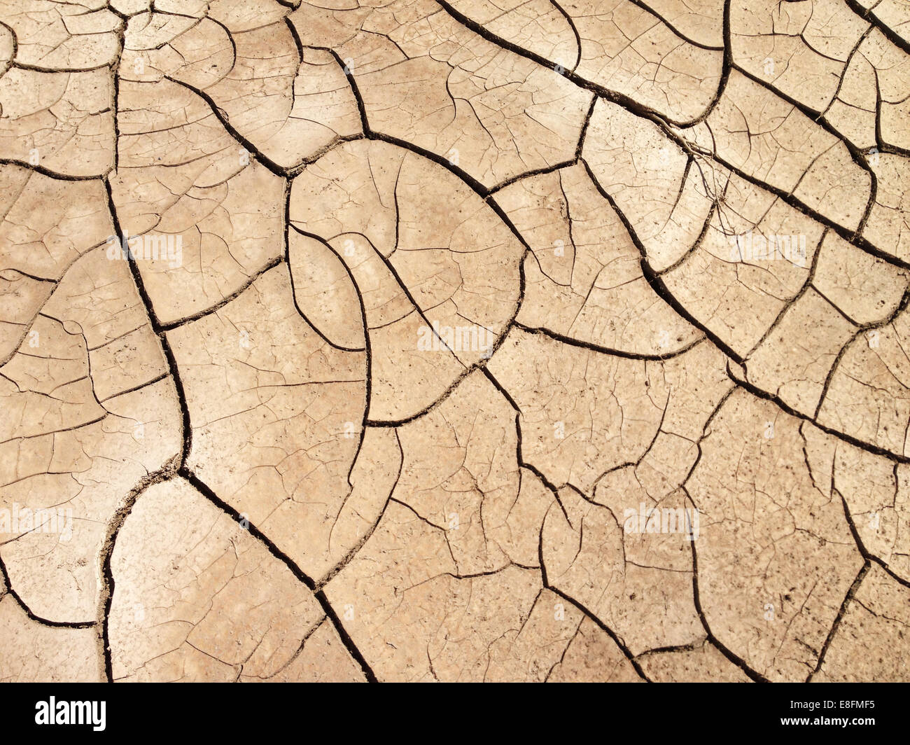 Dried out land in drought hi-res stock photography and images - Alamy
