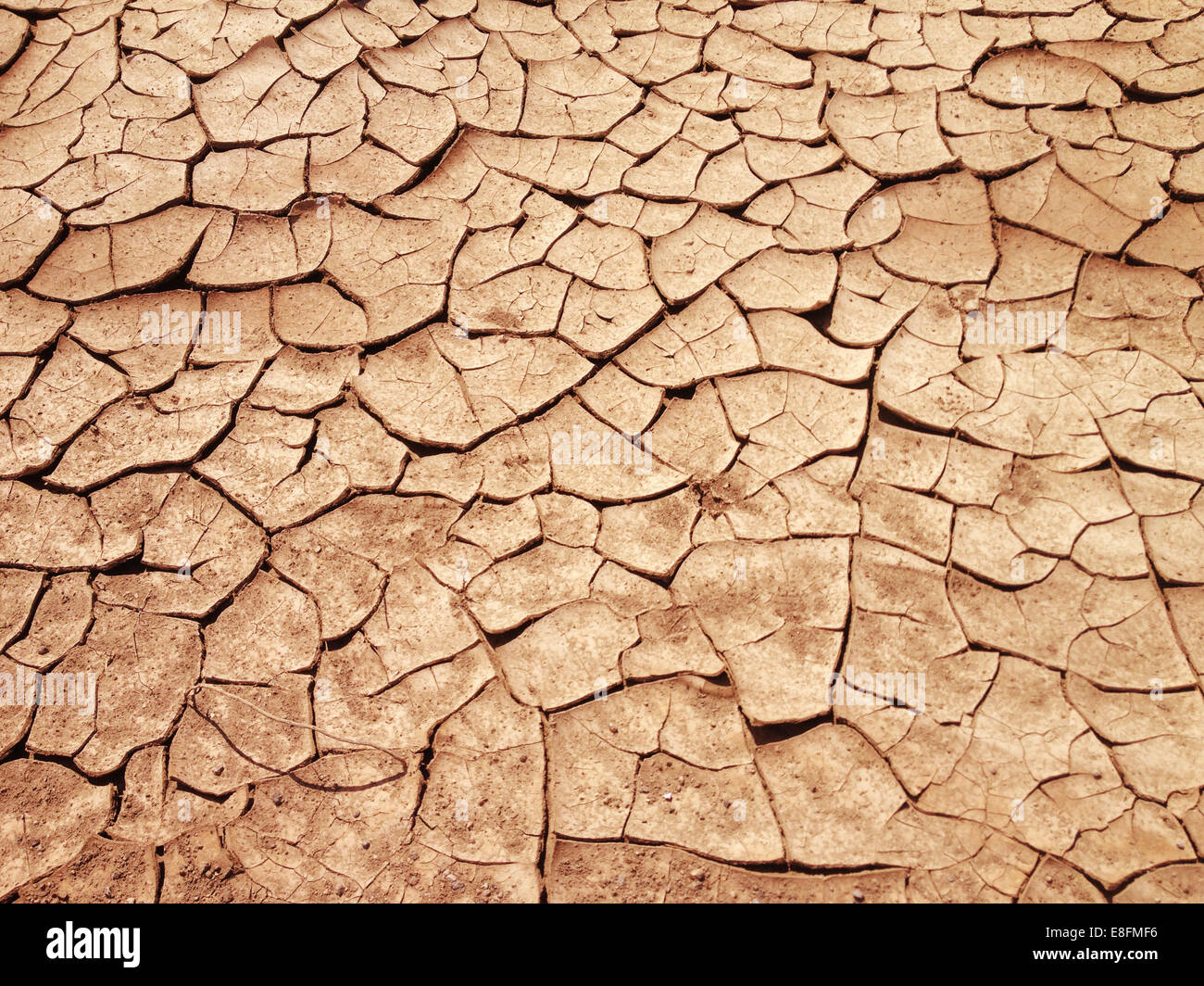 Dried out land in drought hi-res stock photography and images - Alamy