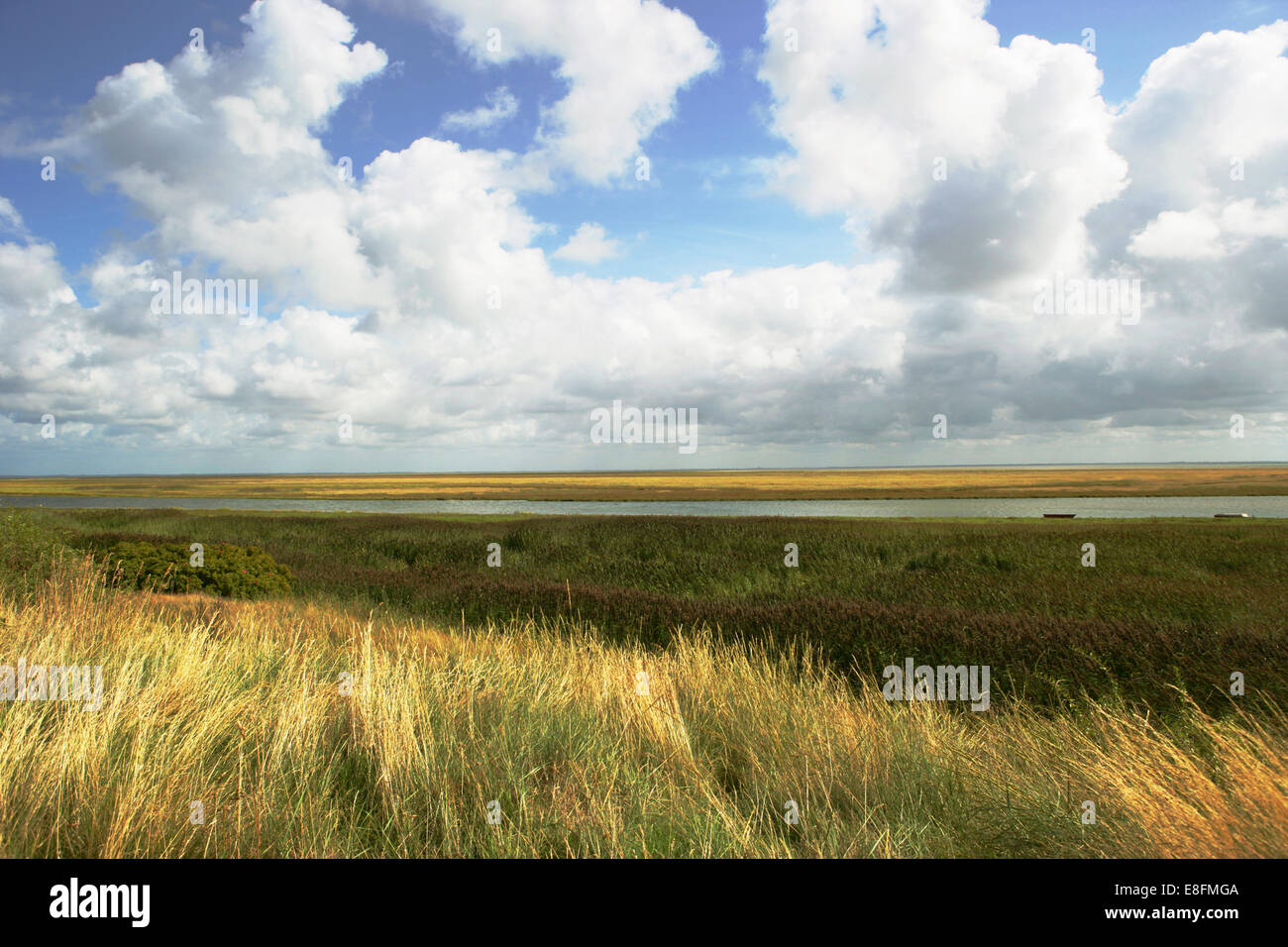 Rural landscape, Sonderho, Fanoe, Denmark Stock Photo - Alamy