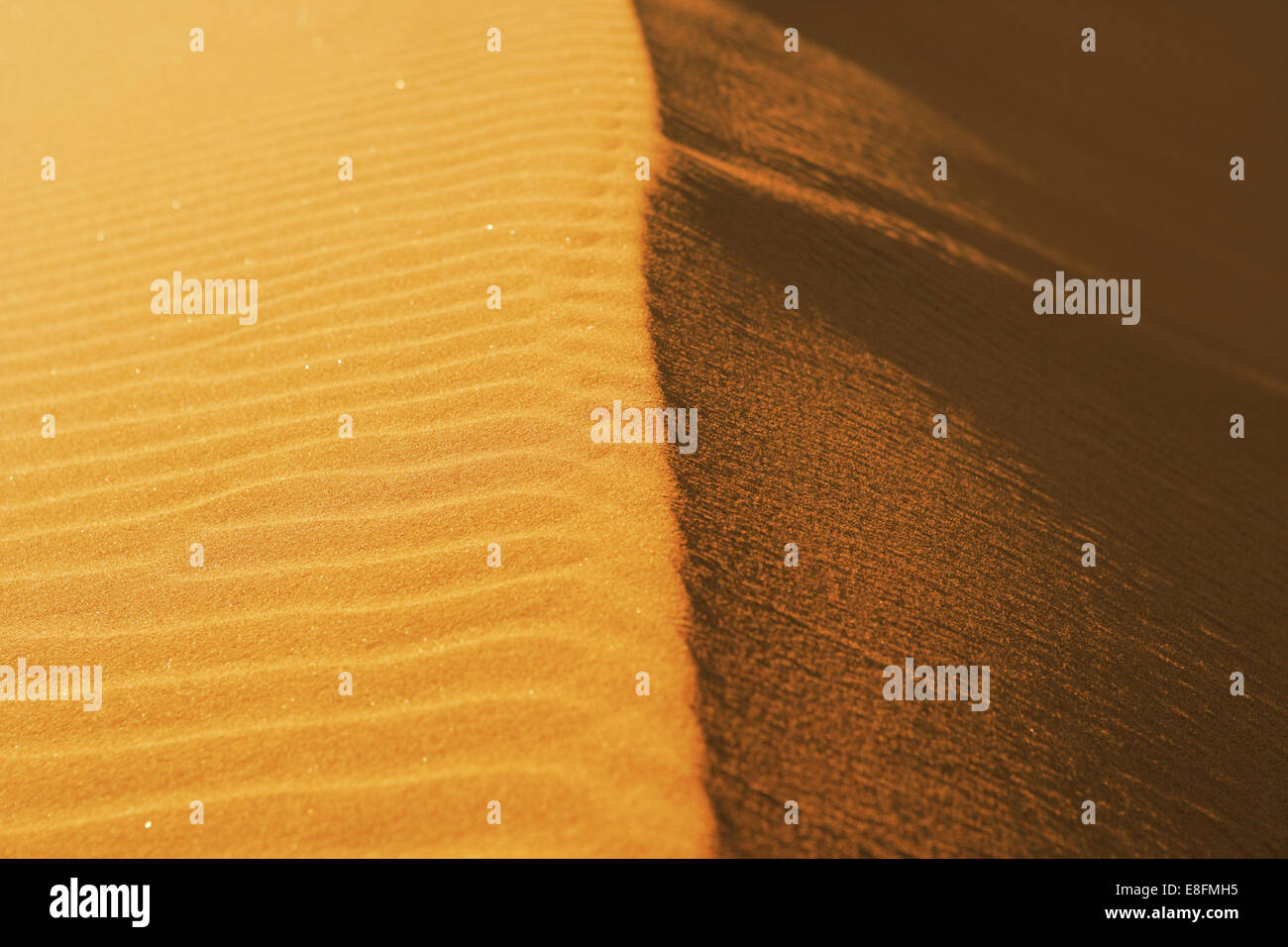 Ridge of sand dune, Namibia Stock Photo - Alamy