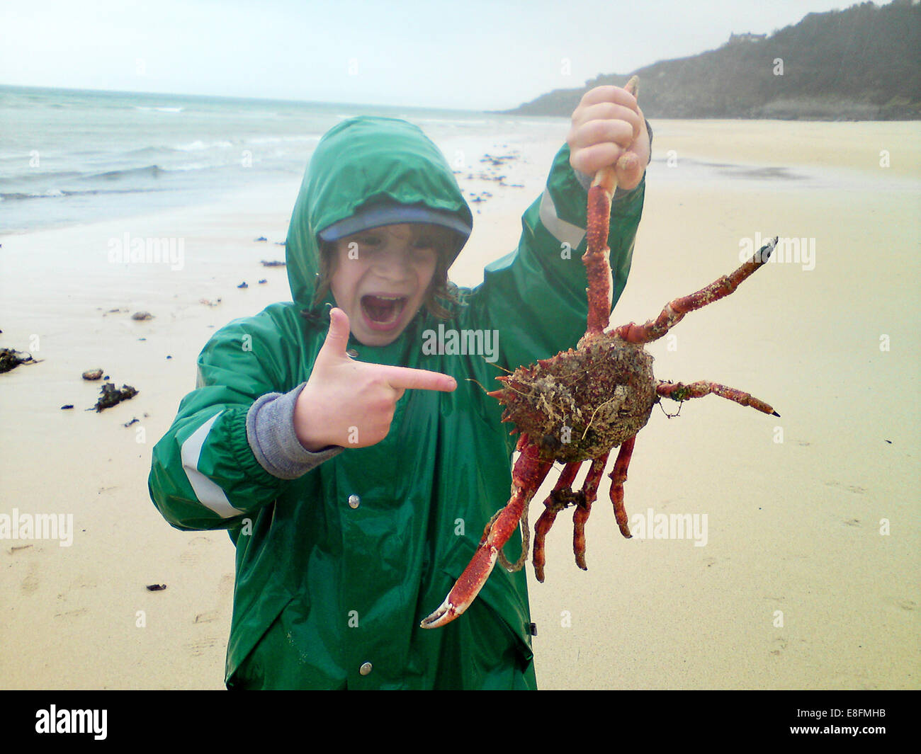 Giant Crab England