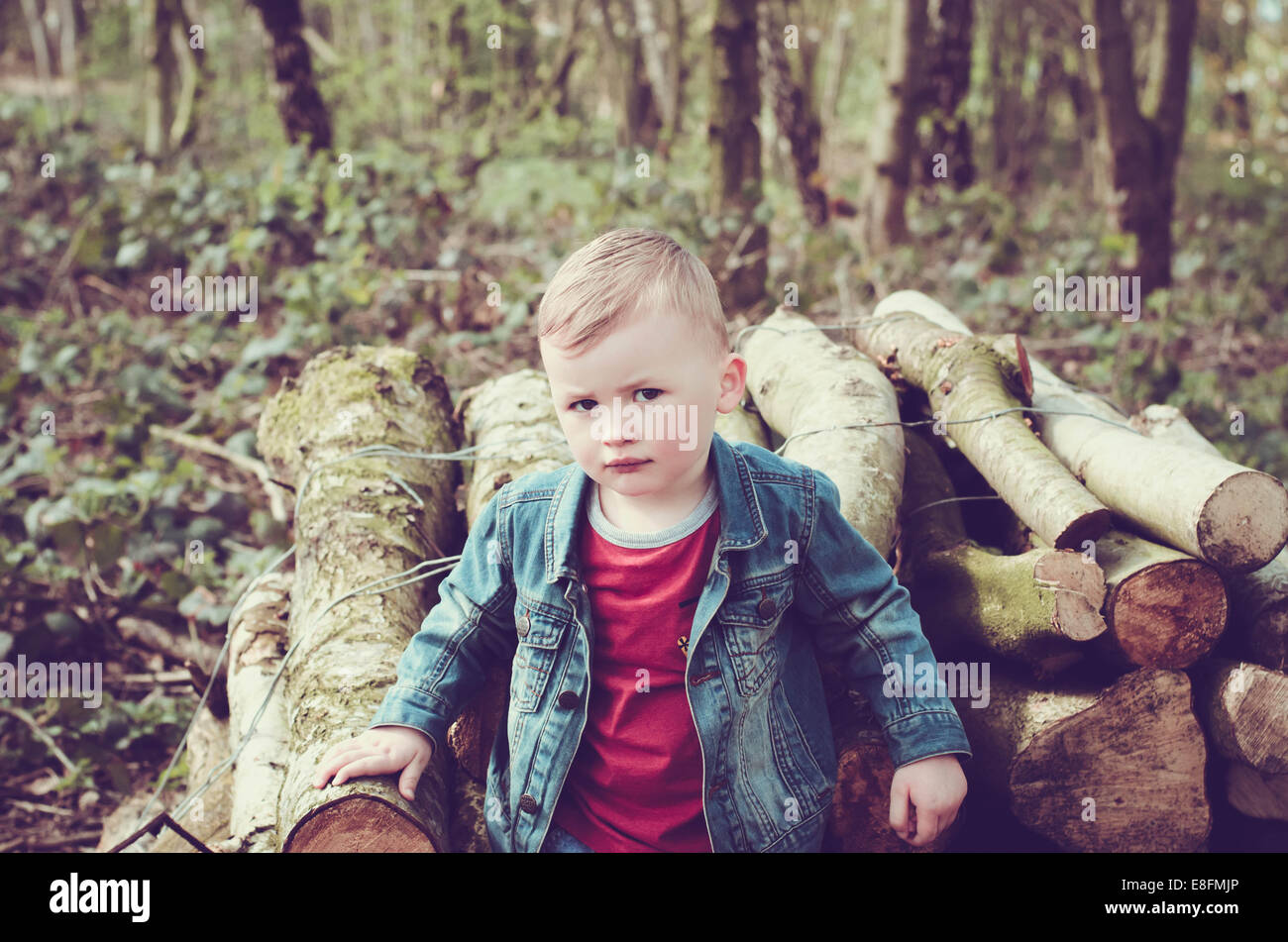 Portrait of a boy standing by a stack of logs in a forest, England, UK ...