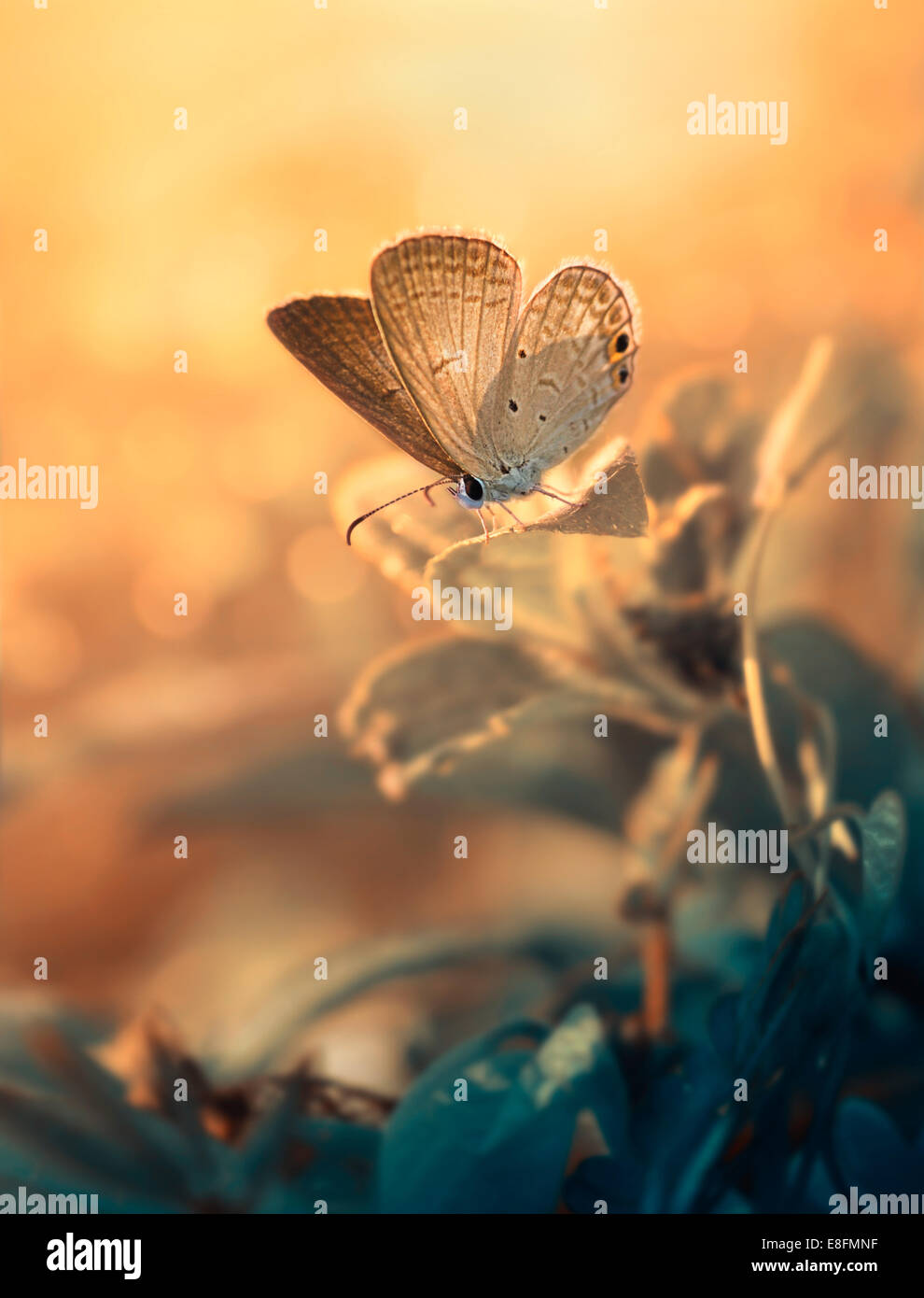 Bekasi west java hi-res stock photography and images - Alamy