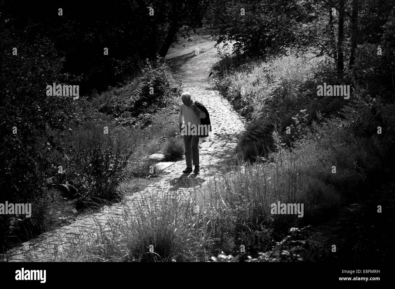 Path of Life Stock Photo - Alamy