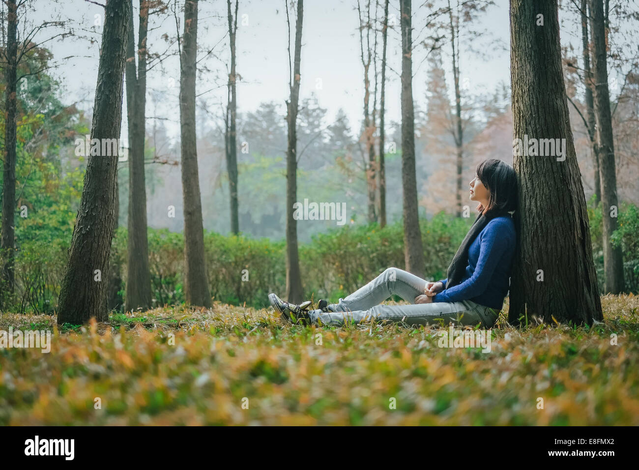Woman sitting next to tree Stock Photo - Alamy
