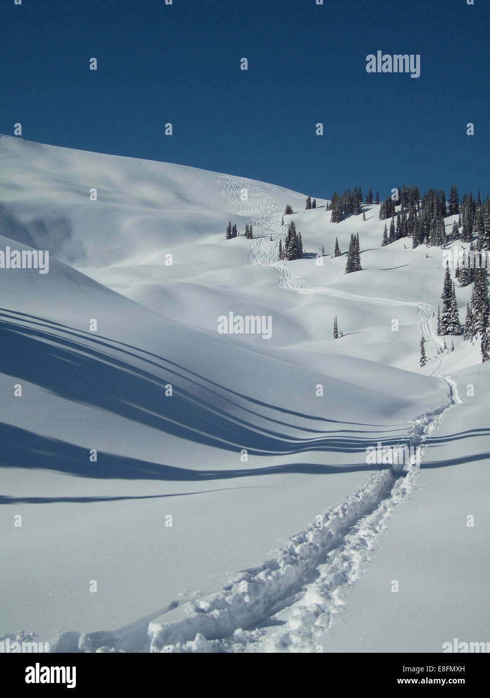 Fresh tracks in snow Stock Photo - Alamy