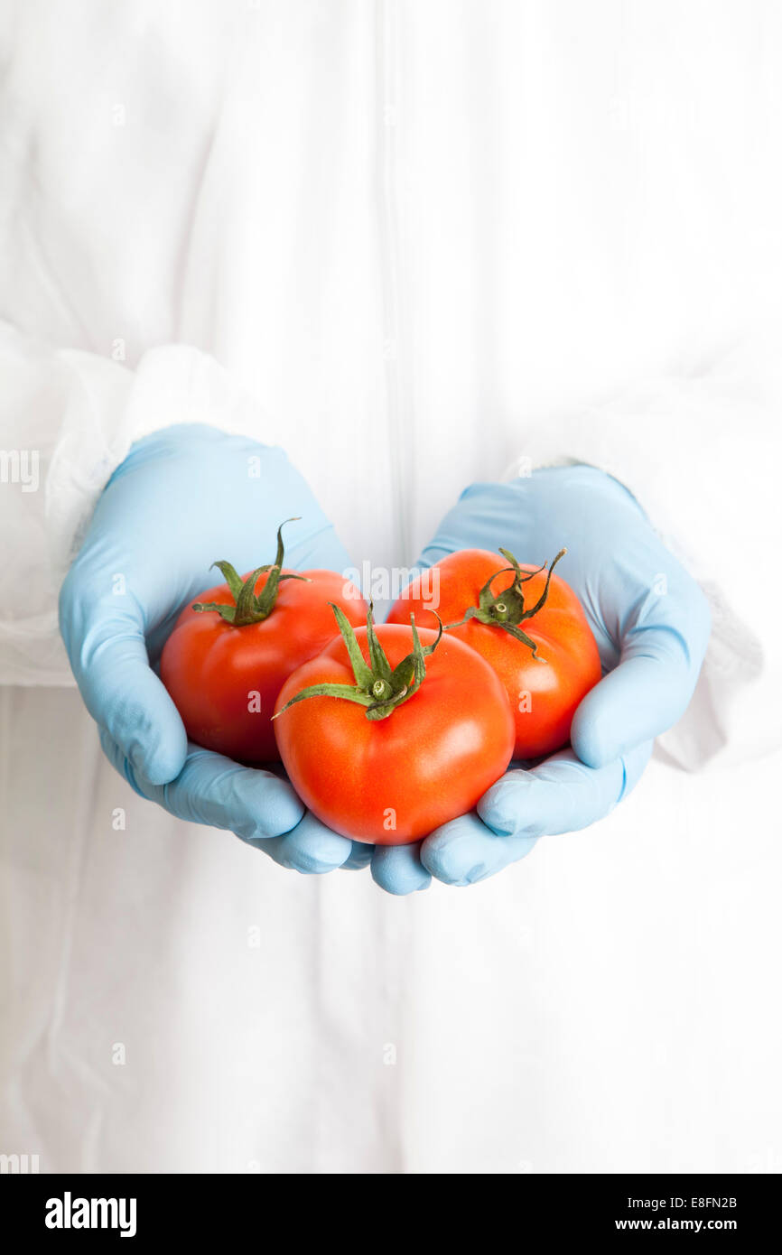 Scientist holding three tomatoes Stock Photo - Alamy