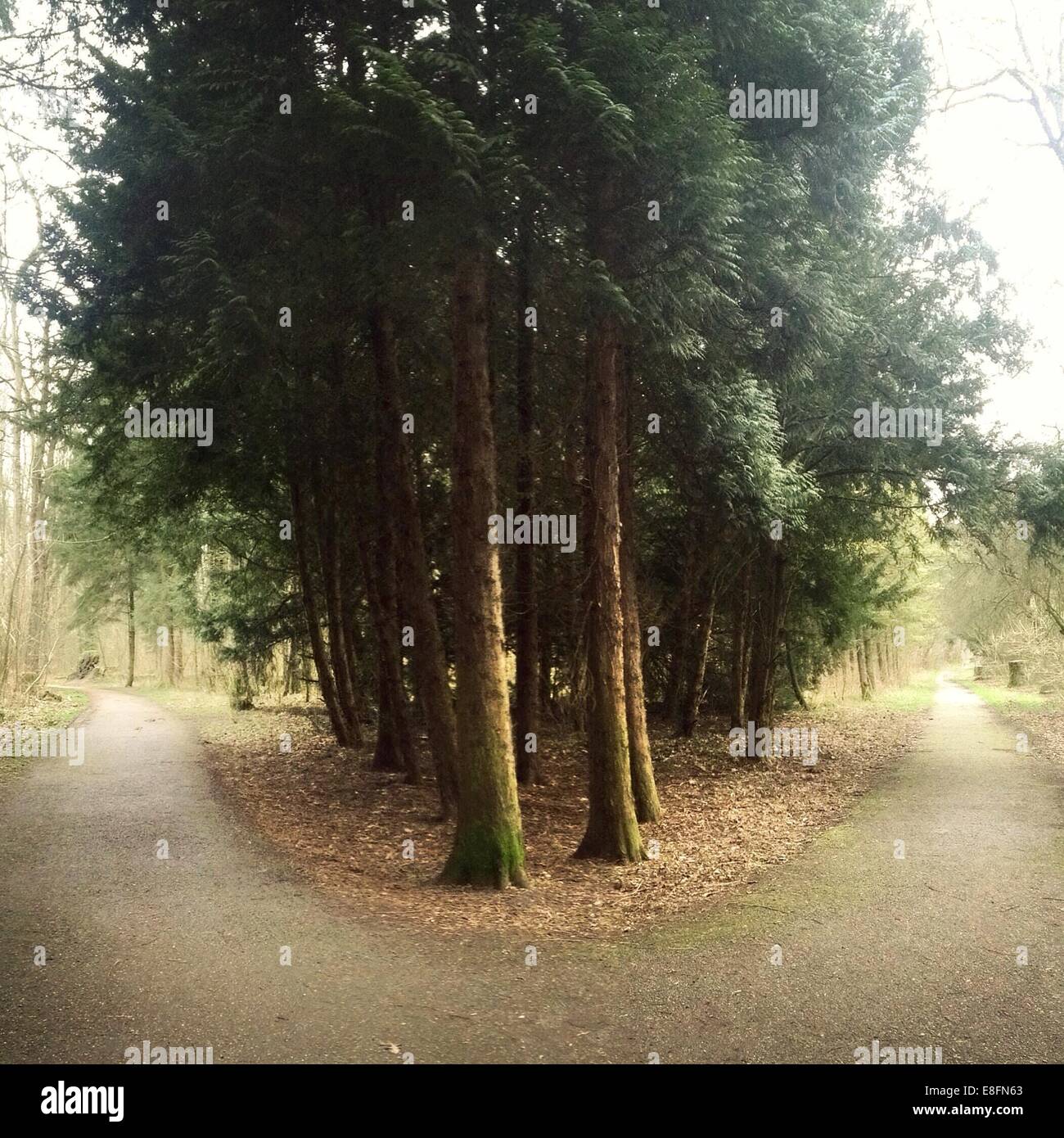 Forked road hi-res stock photography and images - Alamy