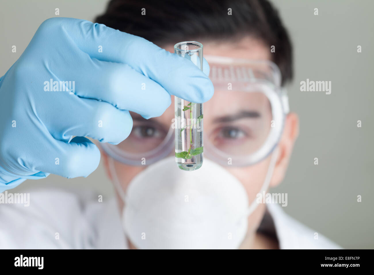 Scientist looking at plant sample in test tube Stock Photo - Alamy