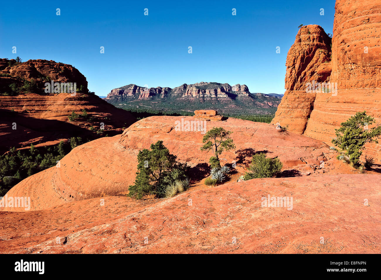 View of sedona area from chicken point hi-res stock photography and ...