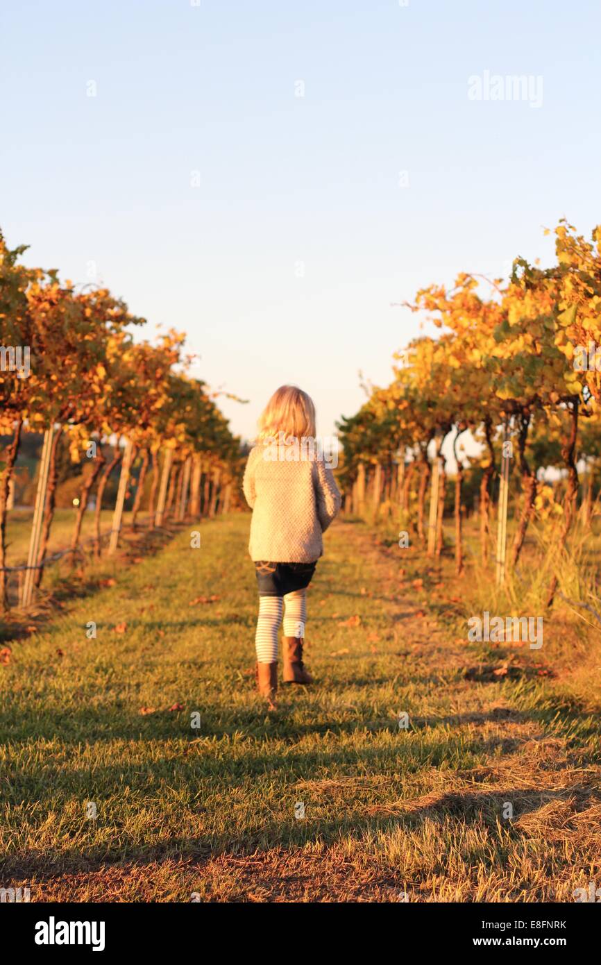 Girl walking though a vineyard Stock Photo - Alamy