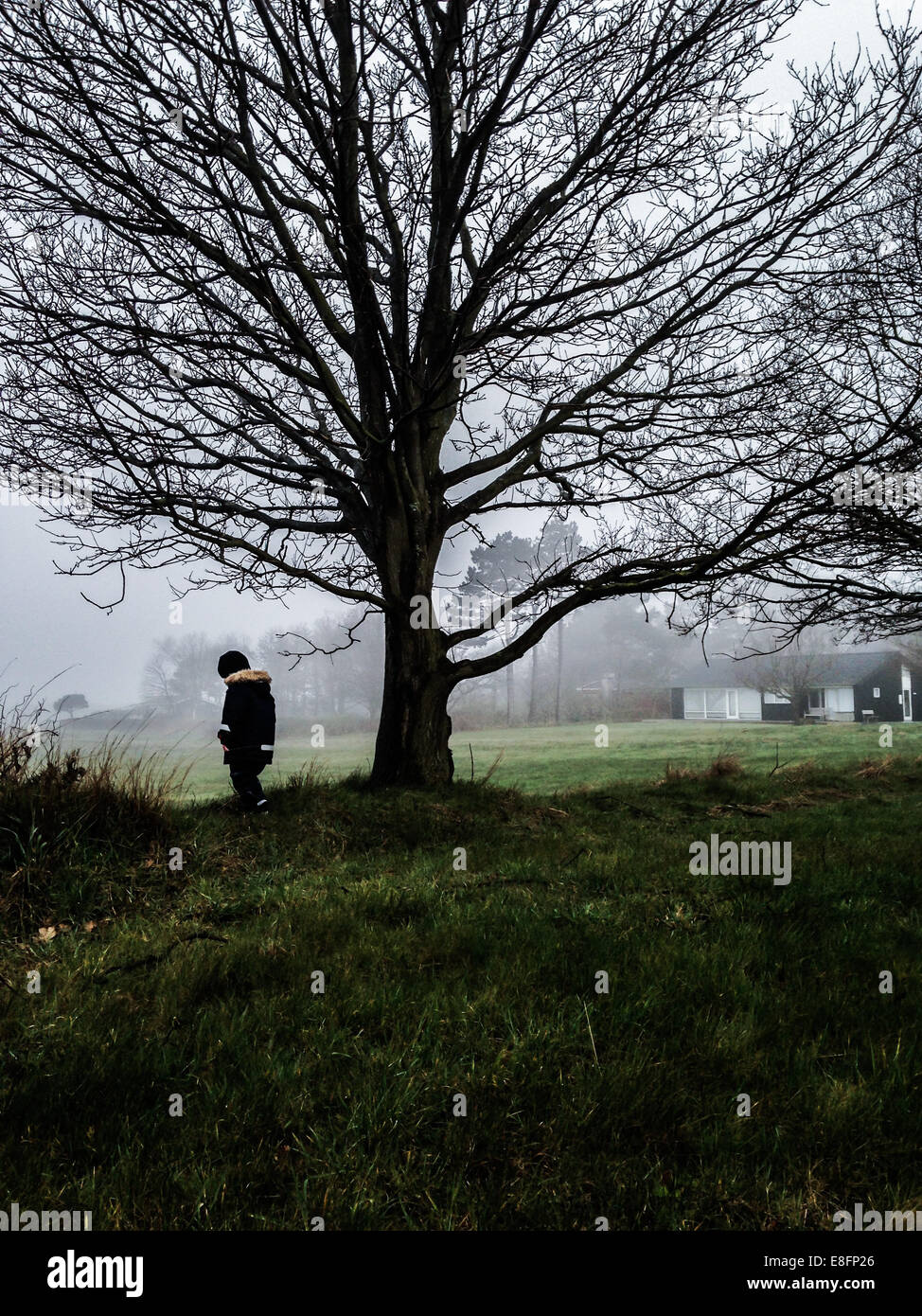 Standing under the tree hi-res stock photography and images - Alamy