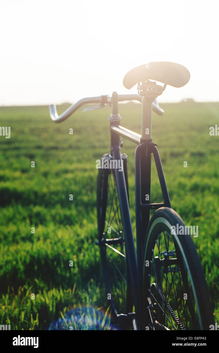 Rear view of bicycle on grass Stock Photo - Alamy