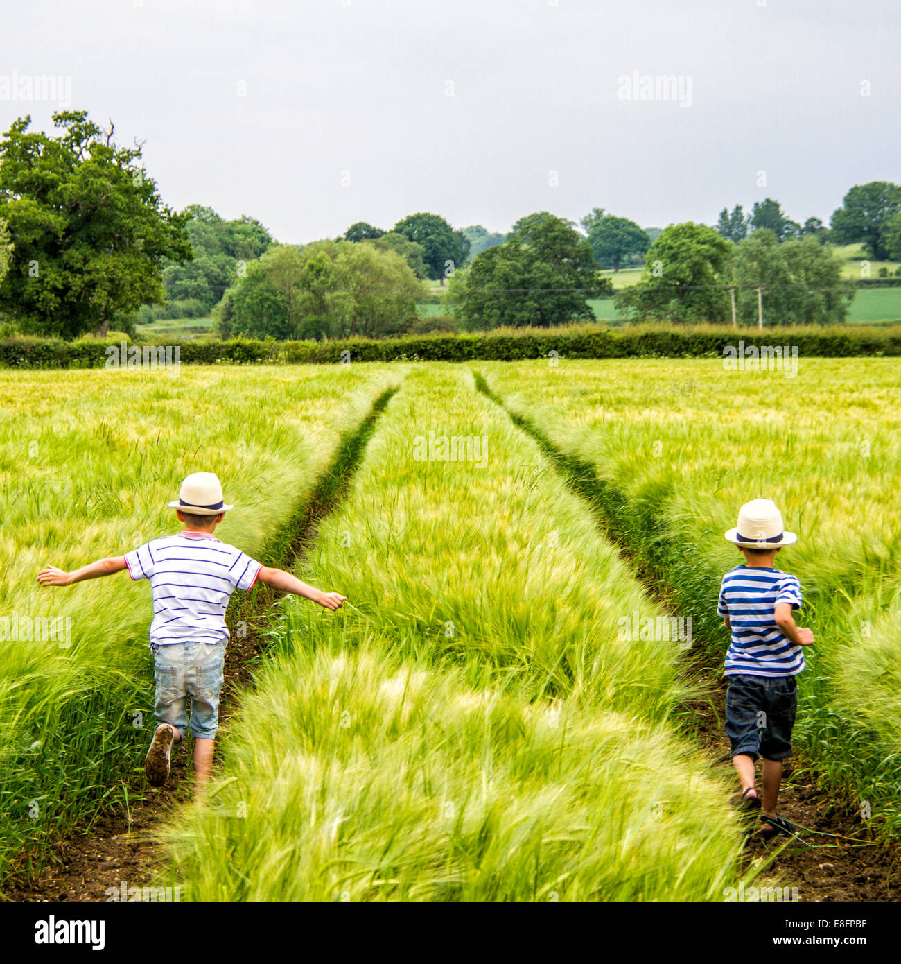 Running Through Grass High Resolution Stock Photography and Images - Alamy