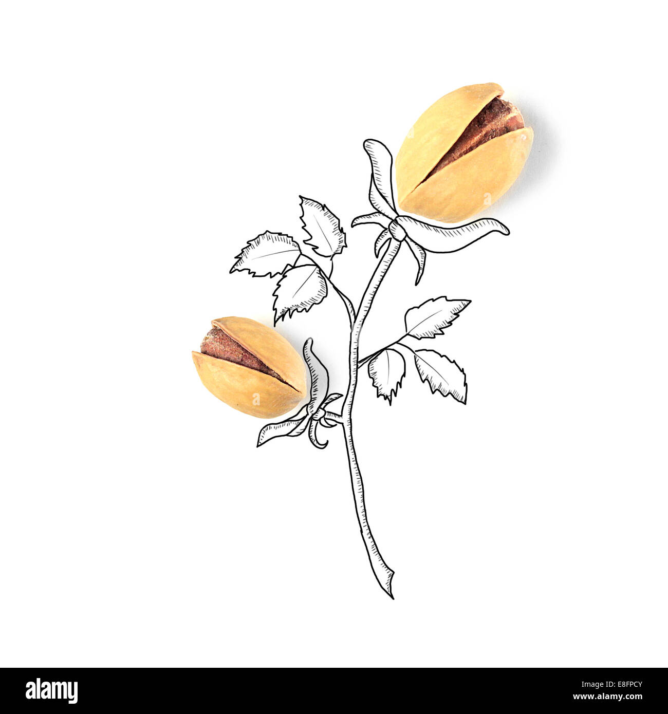 Imitation rose hi-res stock photography and images - Alamy