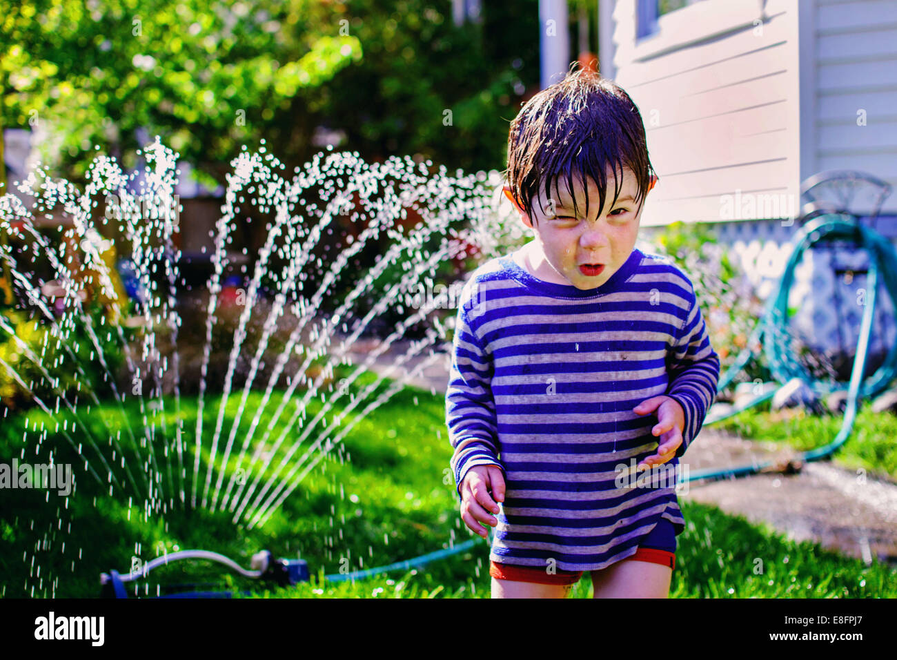 Sprinkler on garden hi-res stock photography and images - Alamy