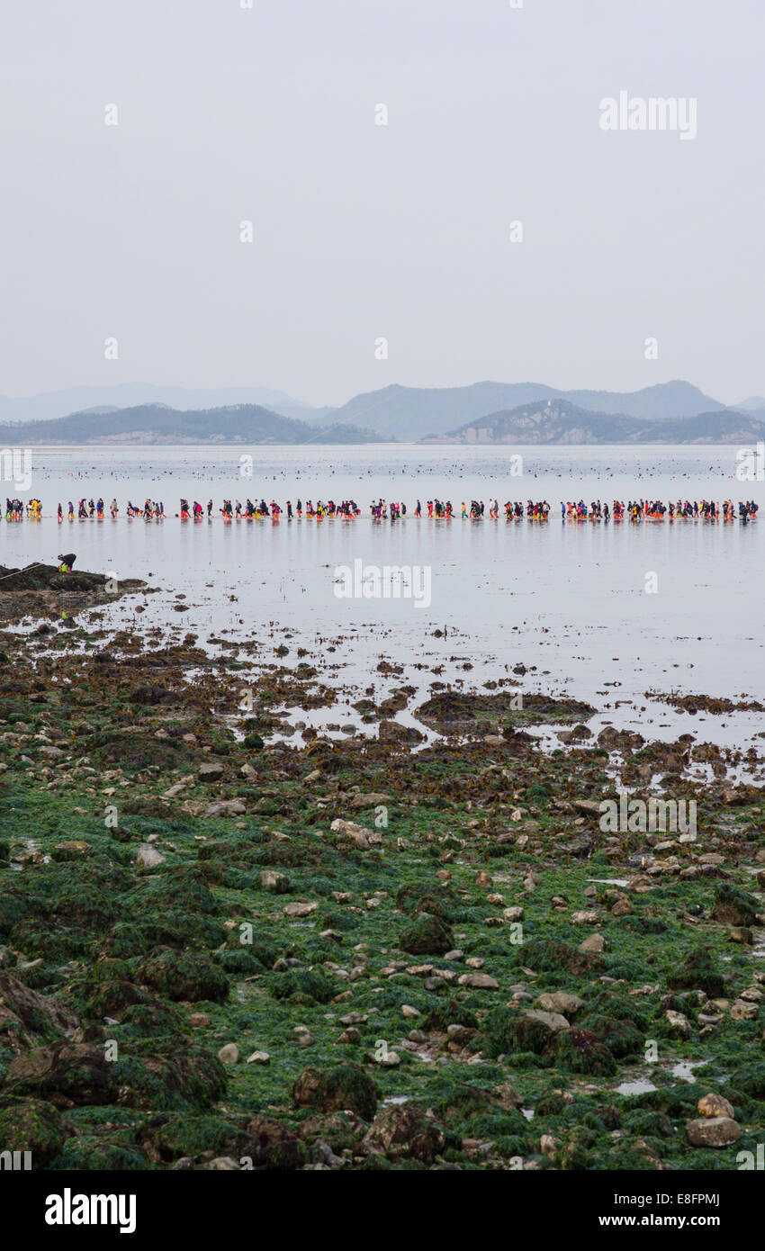 Jindo sea korea hi-res stock photography and images - Alamy