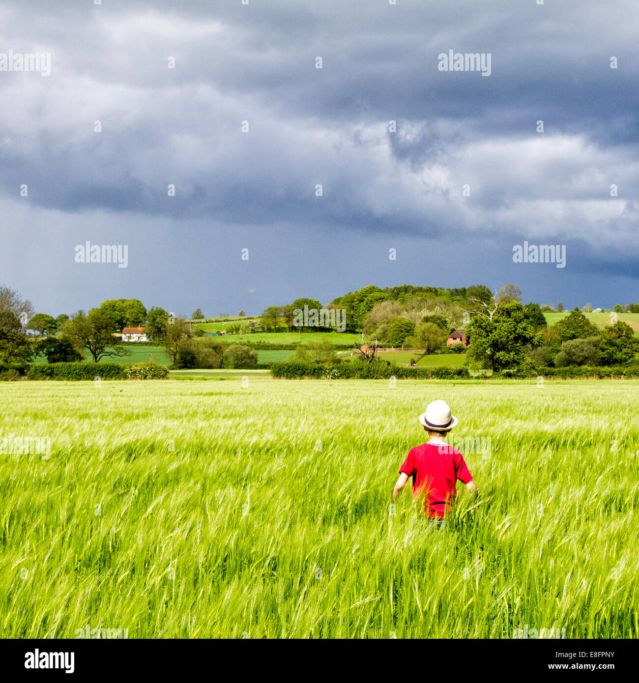 Walking through field hi-res stock photography and images - Alamy