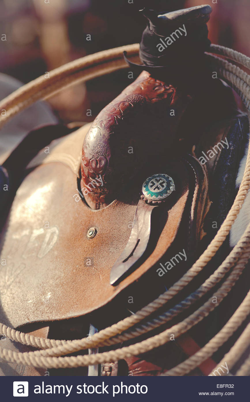 Lasso Saddle Stock Photos & Lasso Saddle Stock Images - Alamy