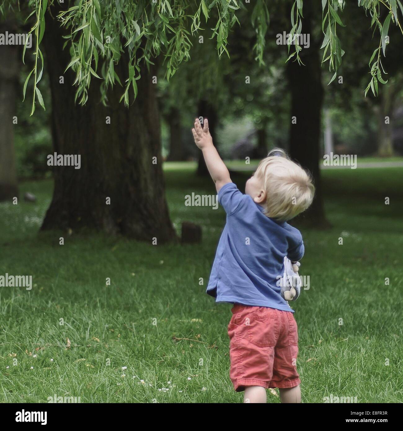 Boy reach in for a branch Stock Photo - Alamy
