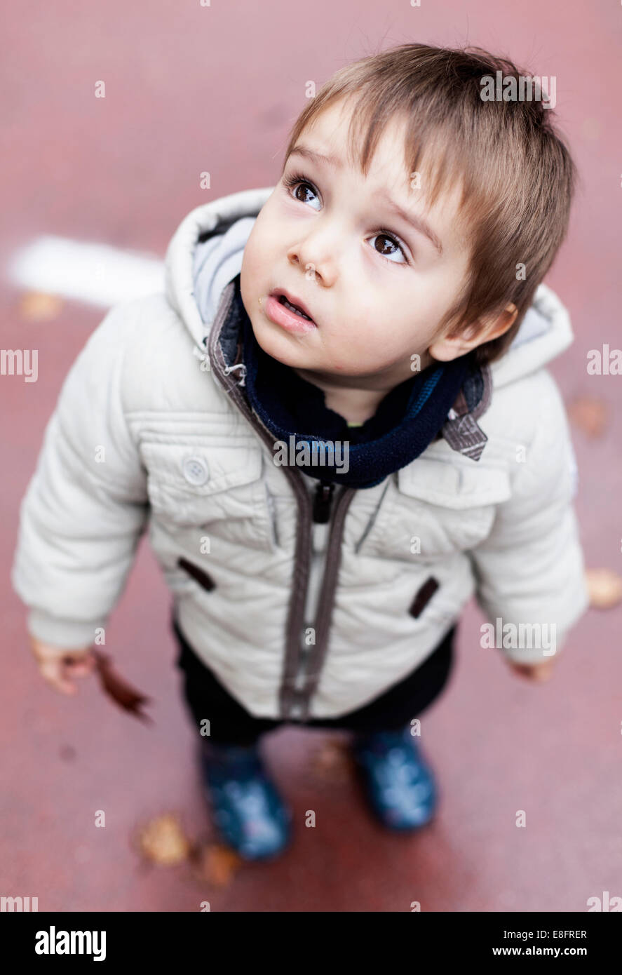 Portrait of a boy looking up Stock Photo - Alamy