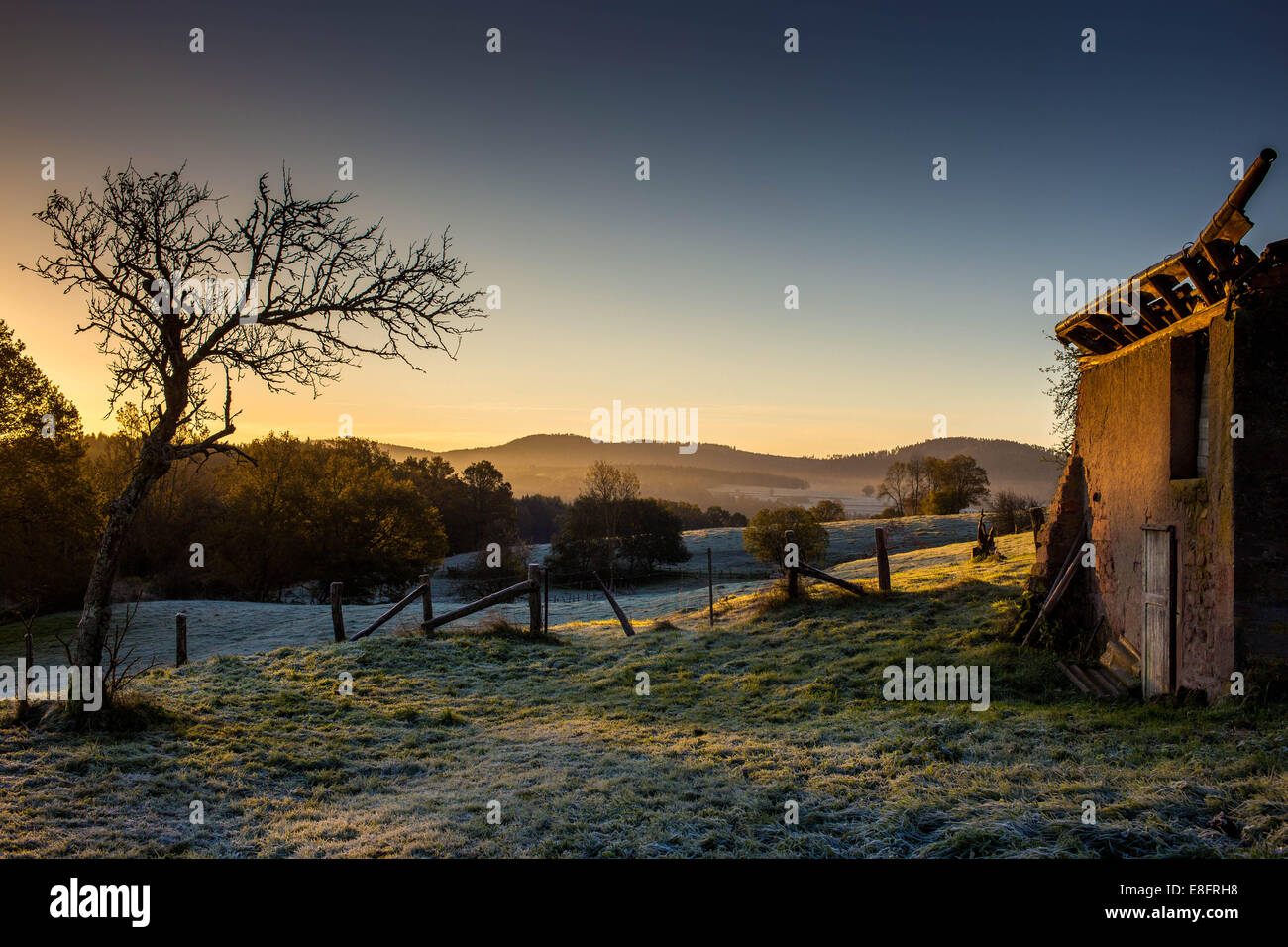 France, Vosges, View of landscape at dawn Stock Photo - Alamy