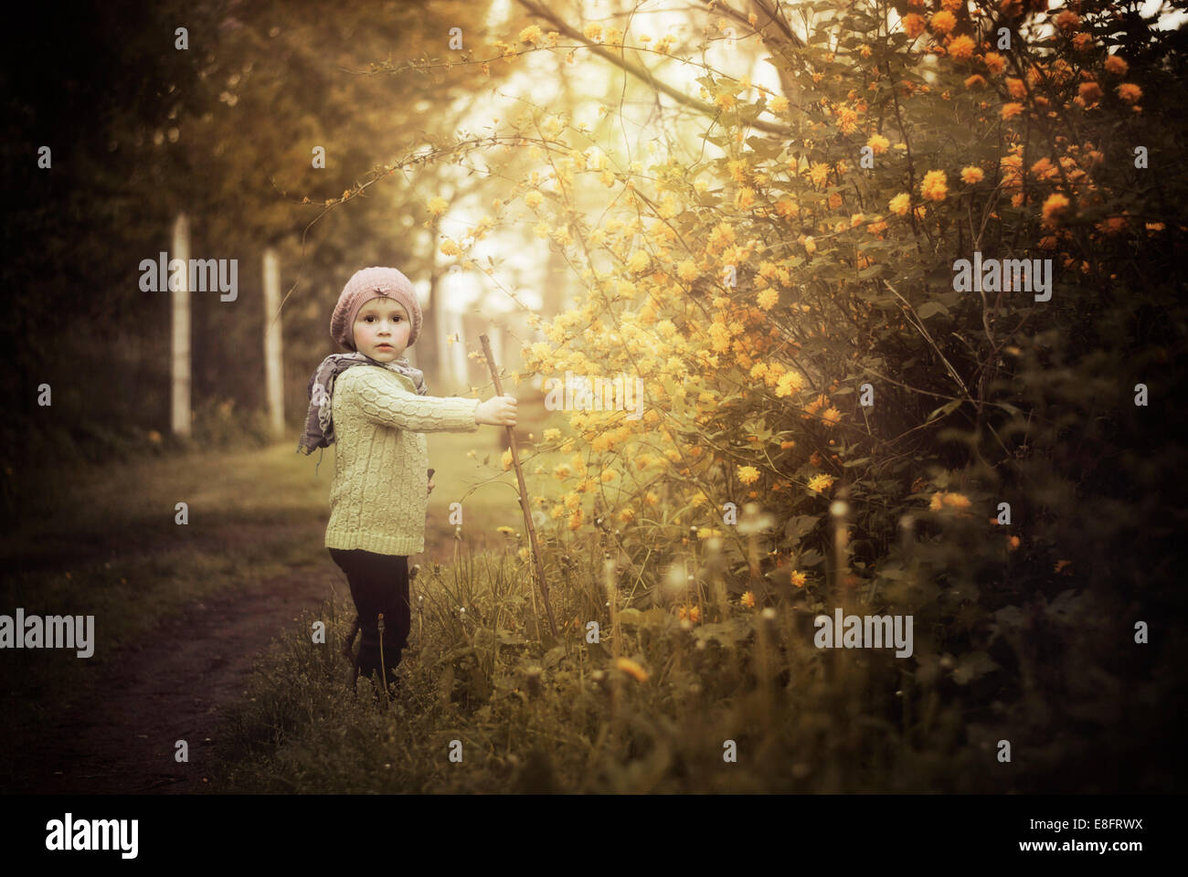 Girl in countryside hi-res stock photography and images - Alamy