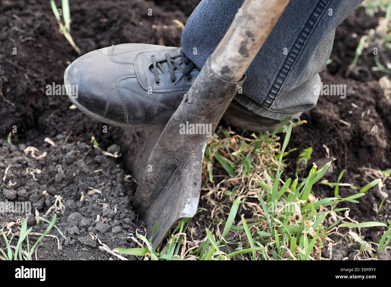 Black man digging with spade hi-res stock photography and images - Alamy