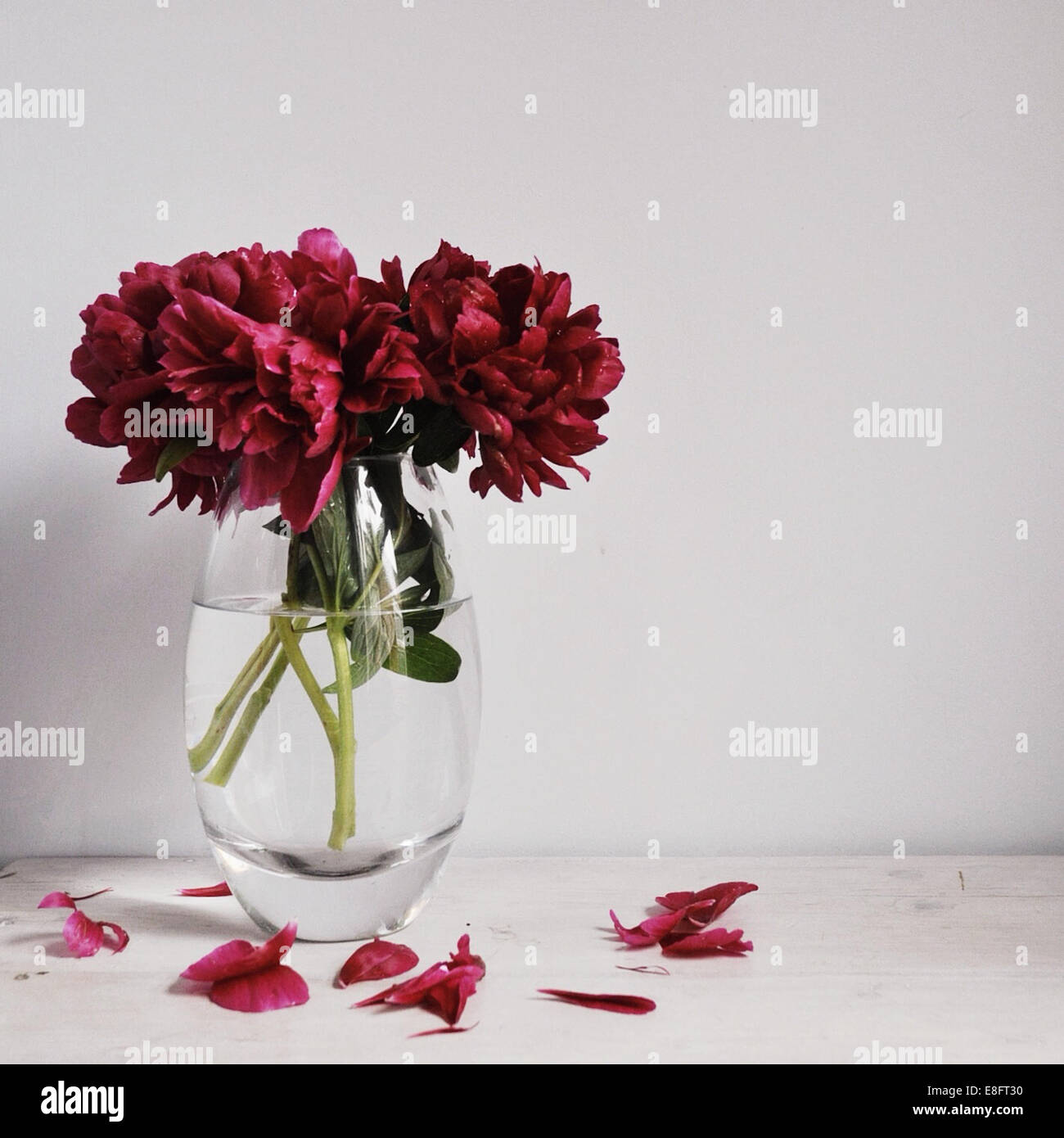 Ageing flowers hi-res stock photography and images - Alamy