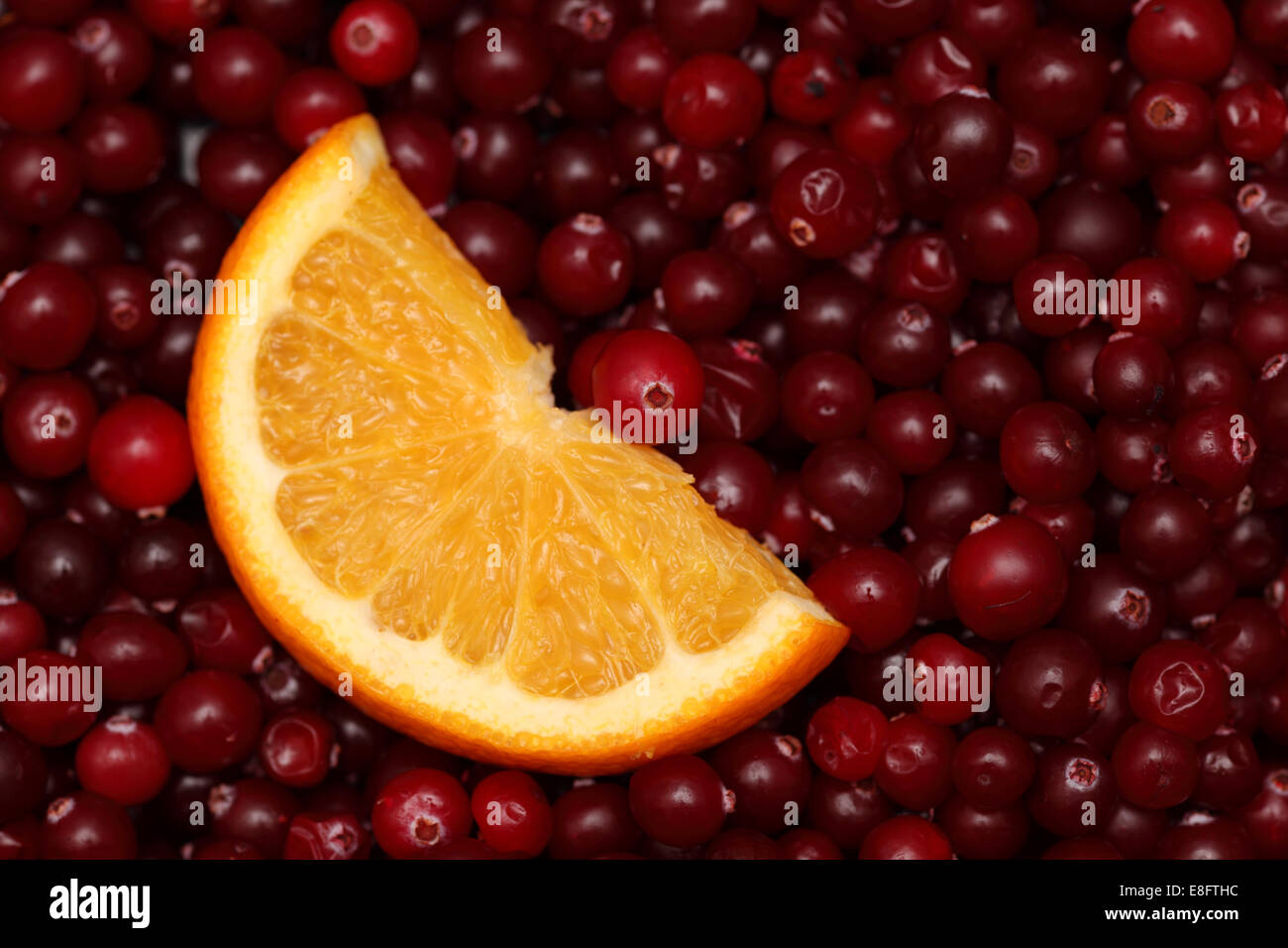 Orange slice and cranberries Stock Photo - Alamy