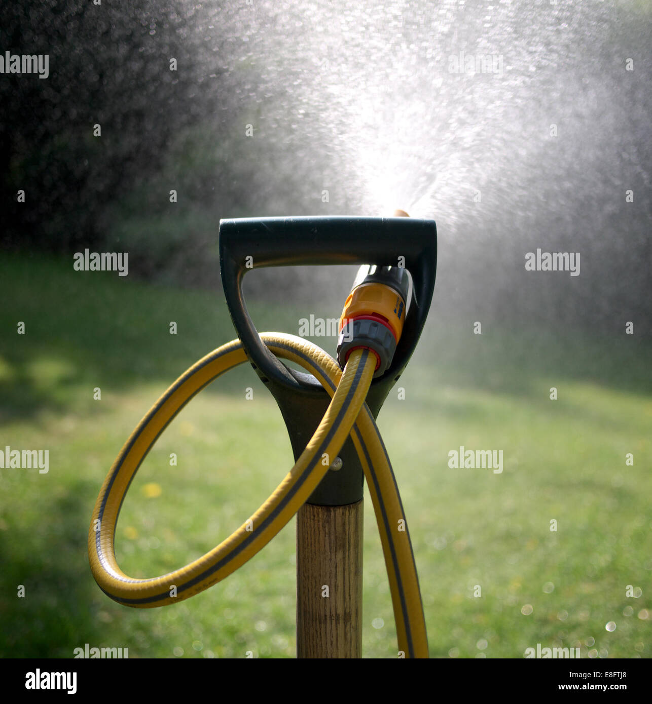 Watering with hosepipe hi-res stock photography and images - Alamy