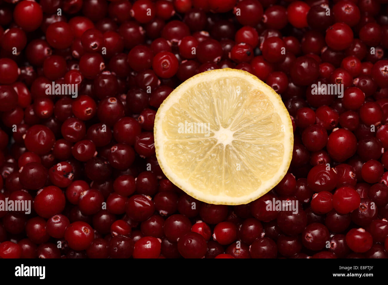 Lemon slice and cranberries Stock Photo - Alamy