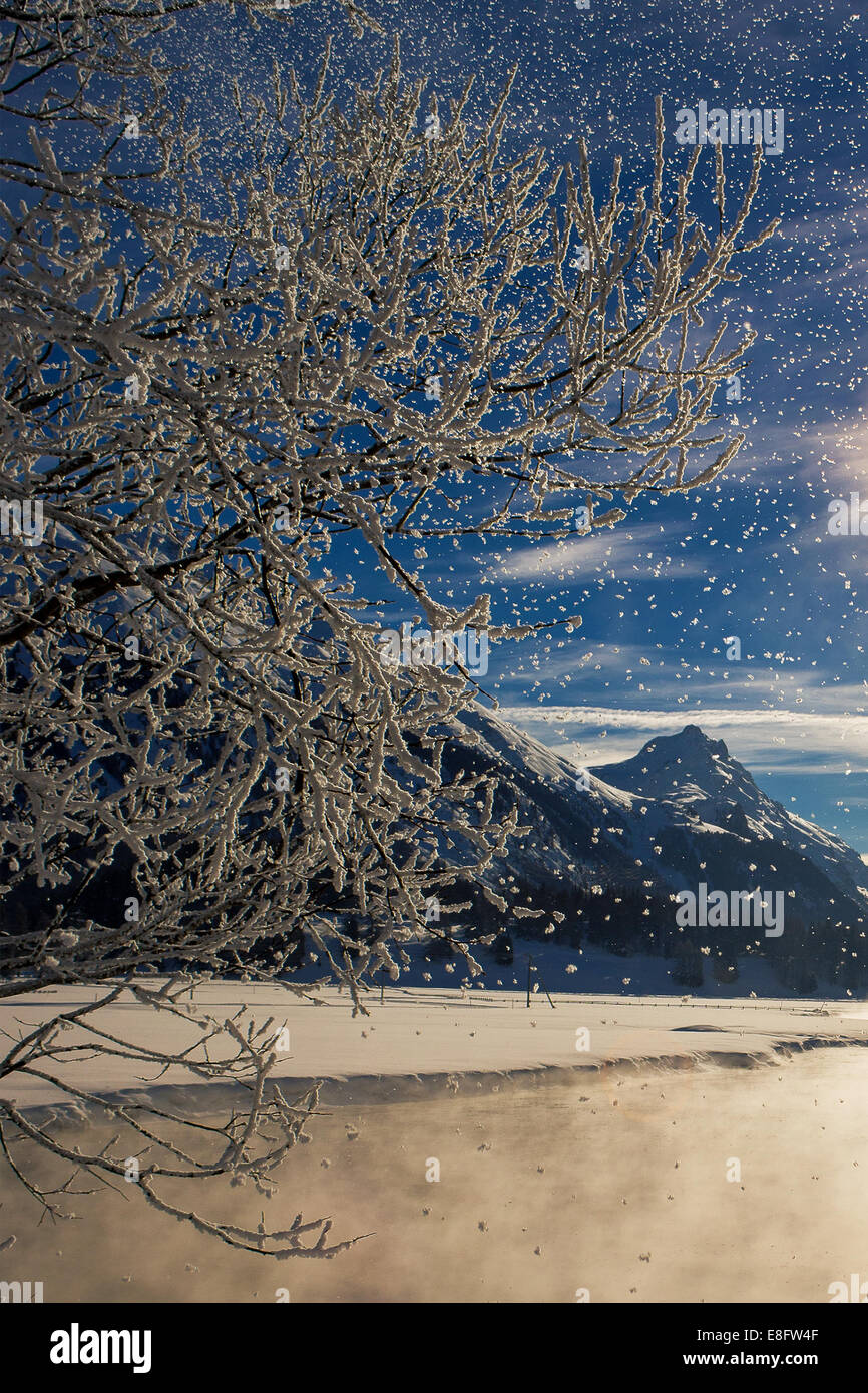 Switzerland, Falling snow Stock Photo - Alamy