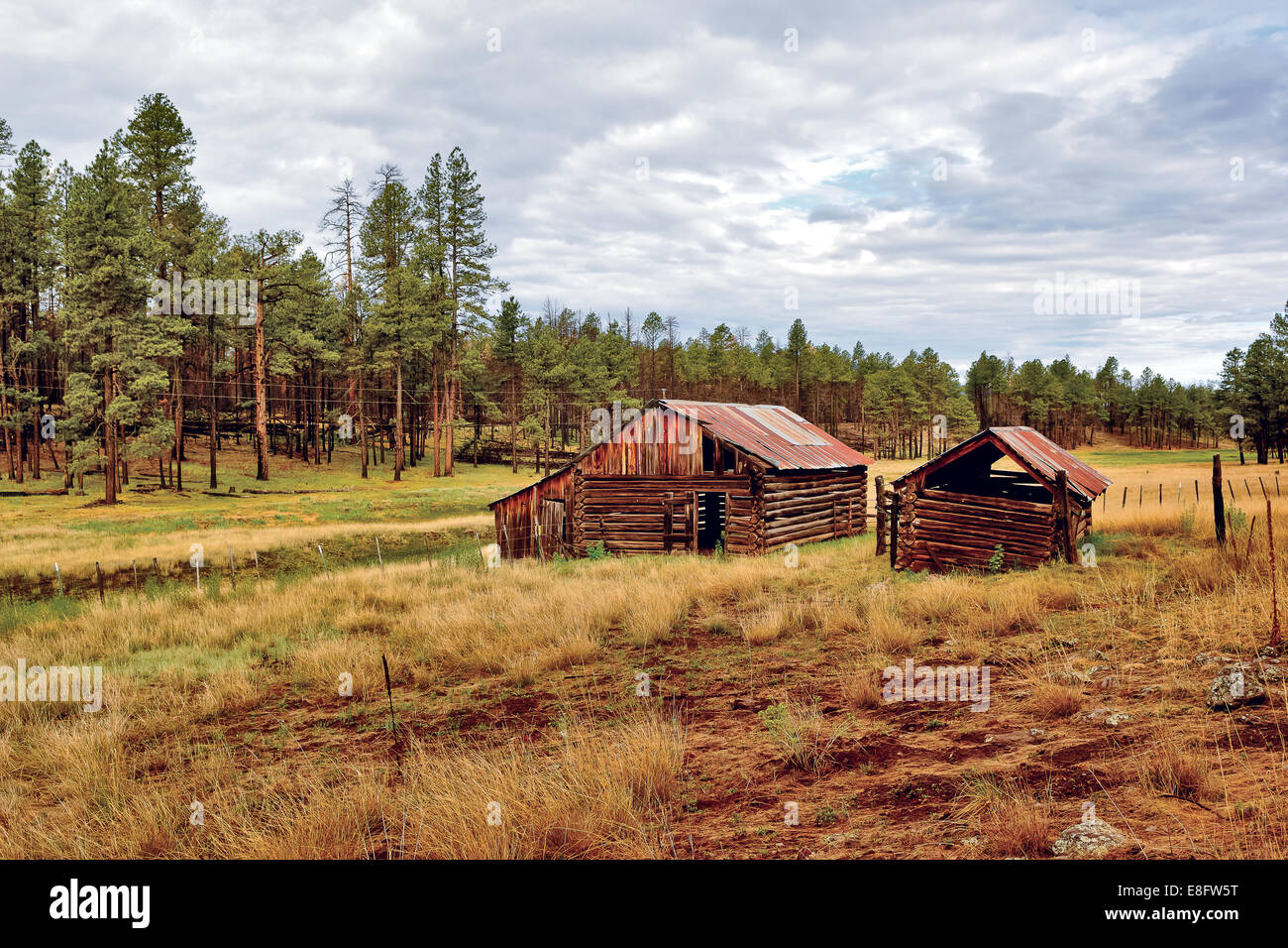 Abandoned cabin hi-res stock photography and images - Alamy