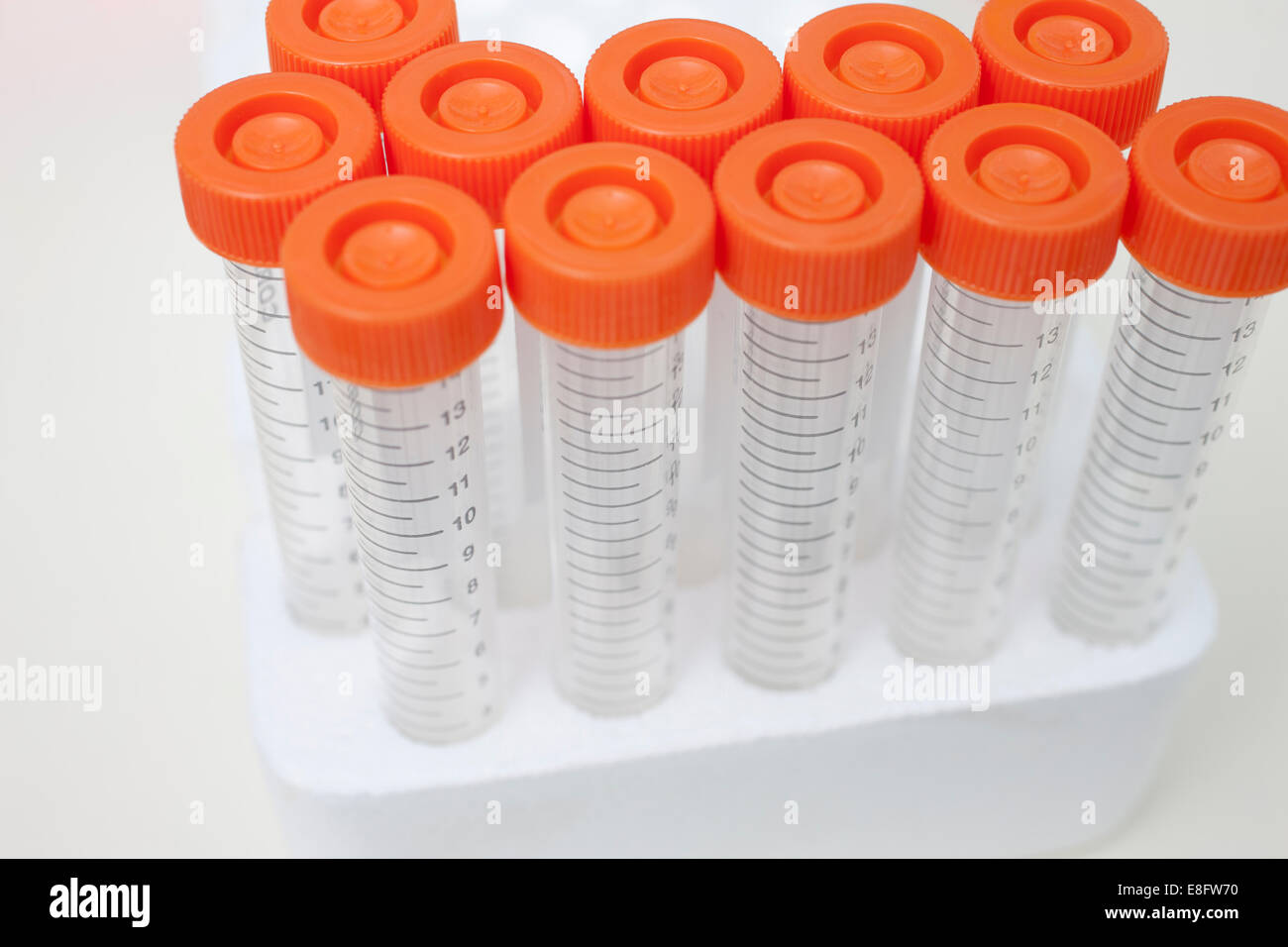 Empty test tubes in rack in research laboratory Stock Photo - Alamy