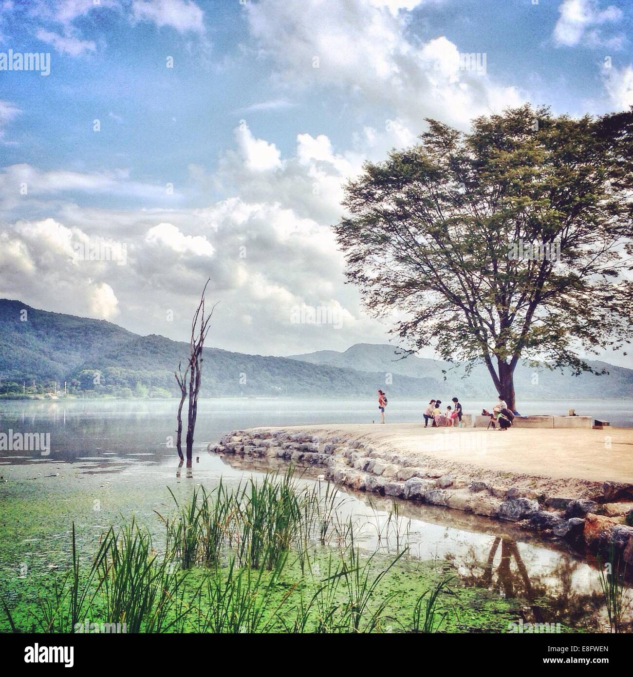 People gathering under tree by river Stock Photo - Alamy