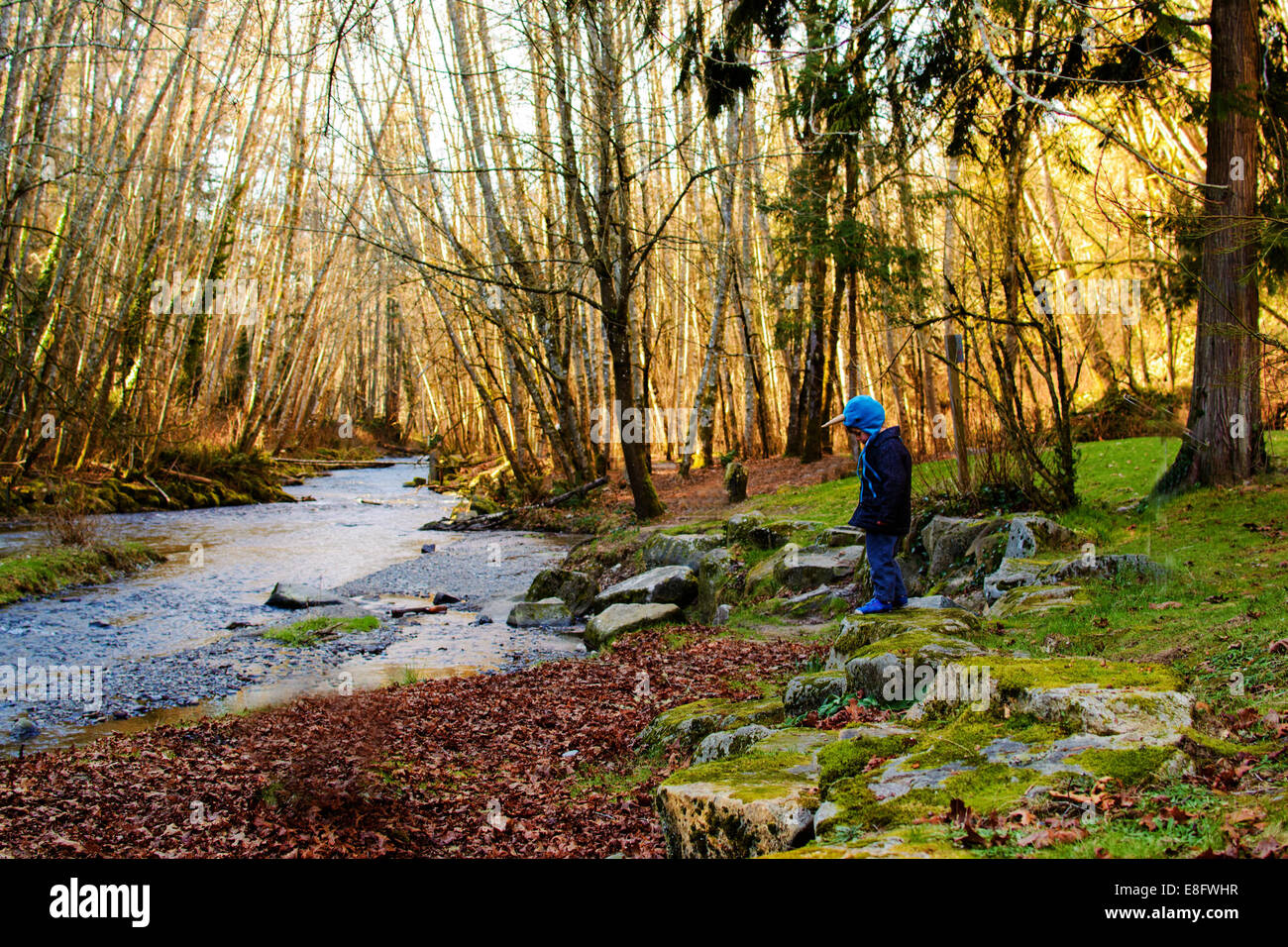 Boy wearing a unicorn hat standing on a riverbank, USA Stock Photo - Alamy