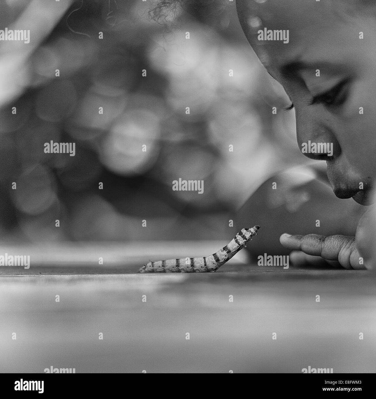 Worm hi-res stock photography and images - Alamy