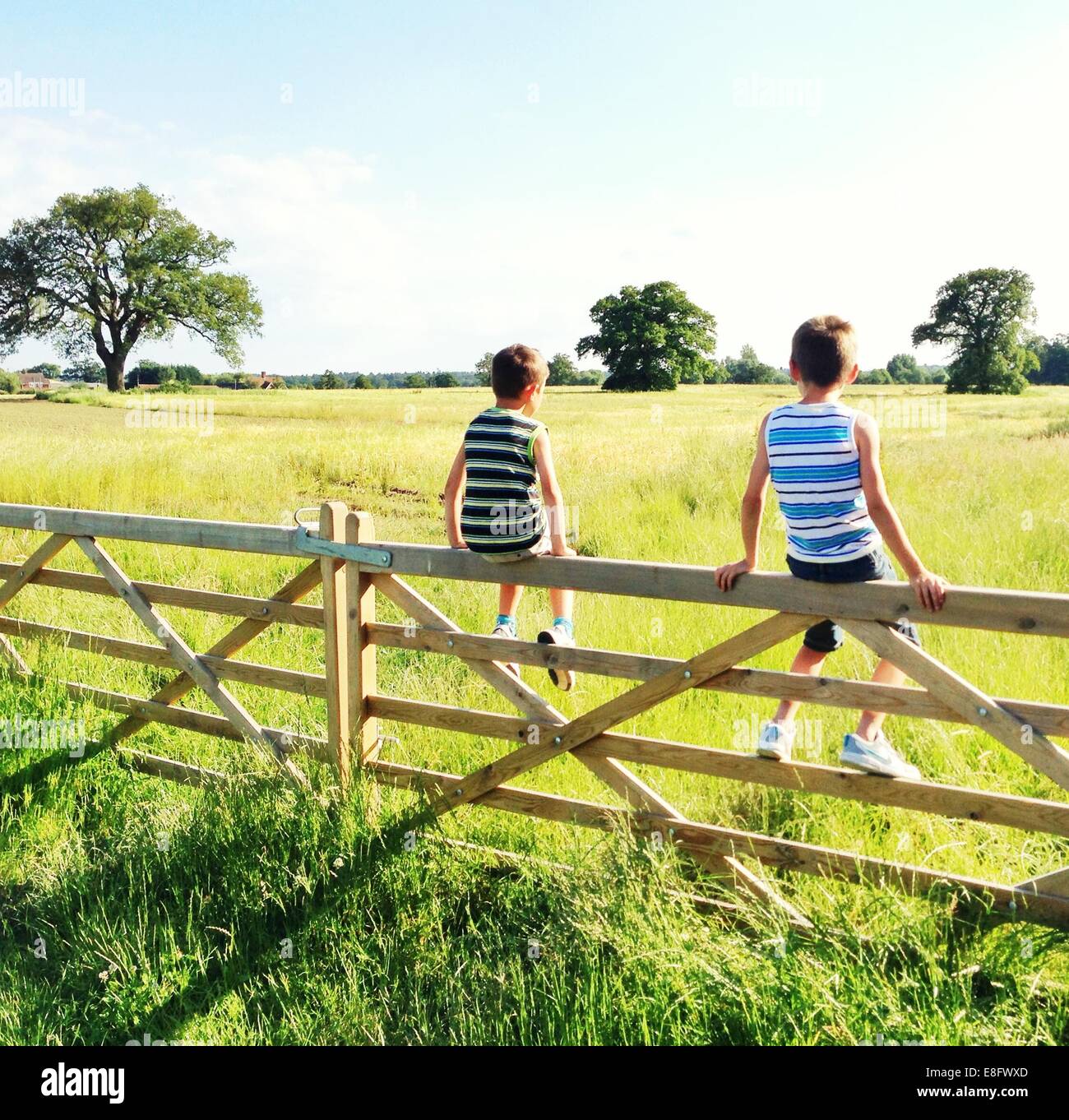 Sitting by gate hi-res stock photography and images - Alamy
